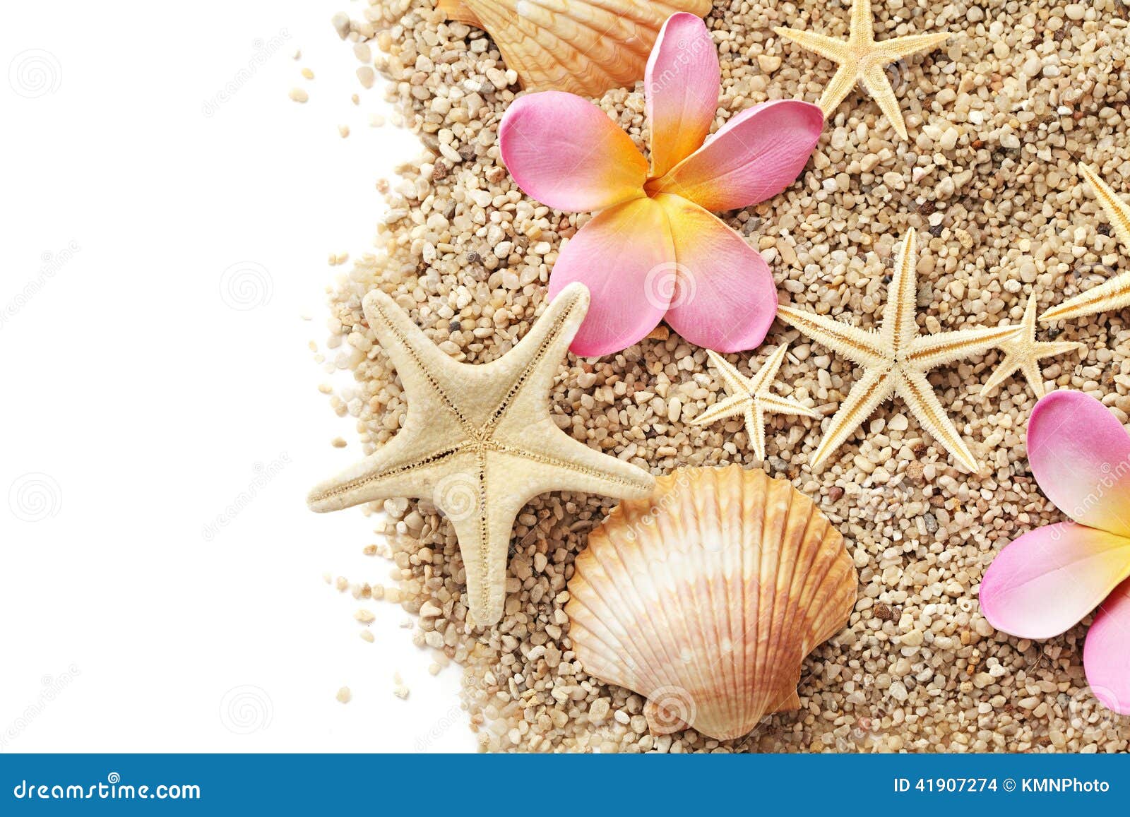 Seashells border stock photo. Image of space, shells - 41907274