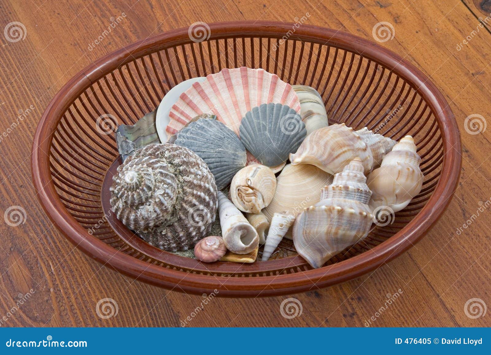Seashells in bowl stock image. Image of tide, coastal, seashell - 476405