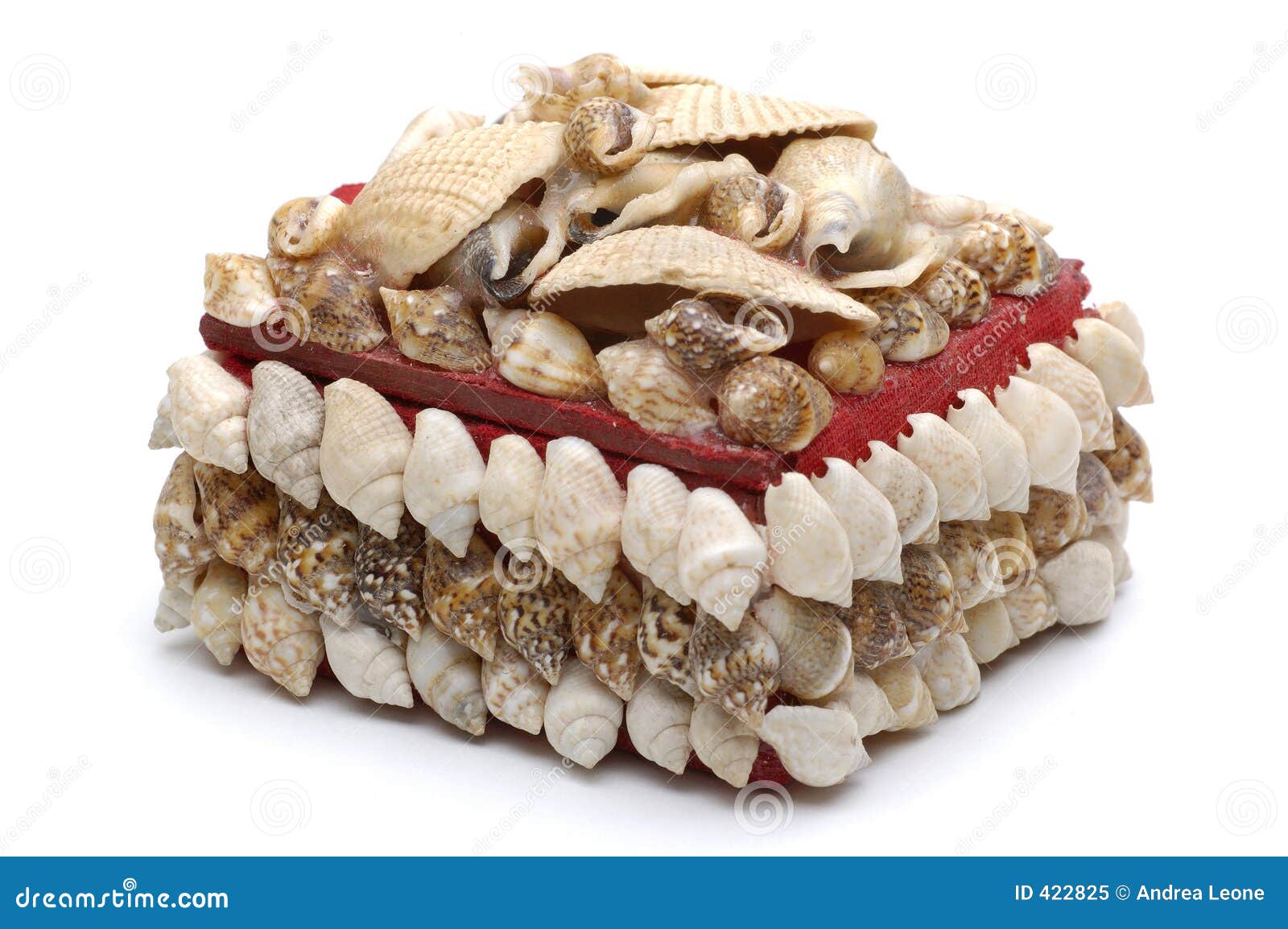Seashells Box stock image. Image of decorated, shellfish - 422825