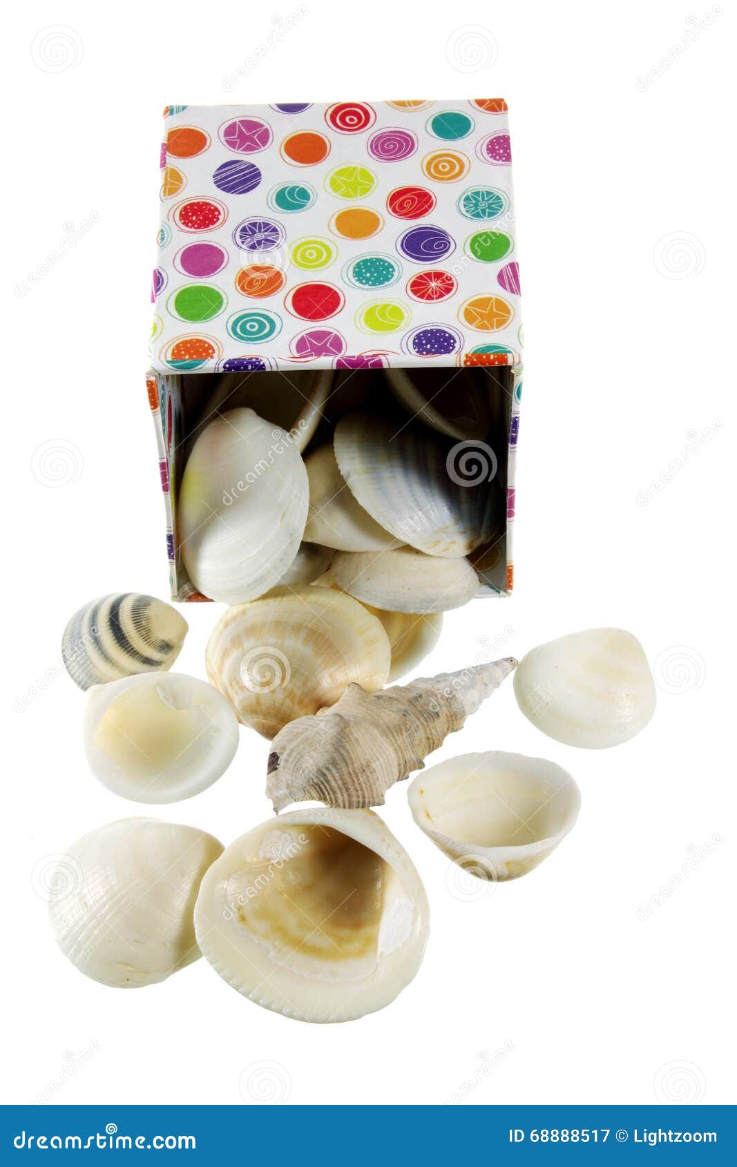 Seashells in Box stock image. Image of life, scallops - 68888517