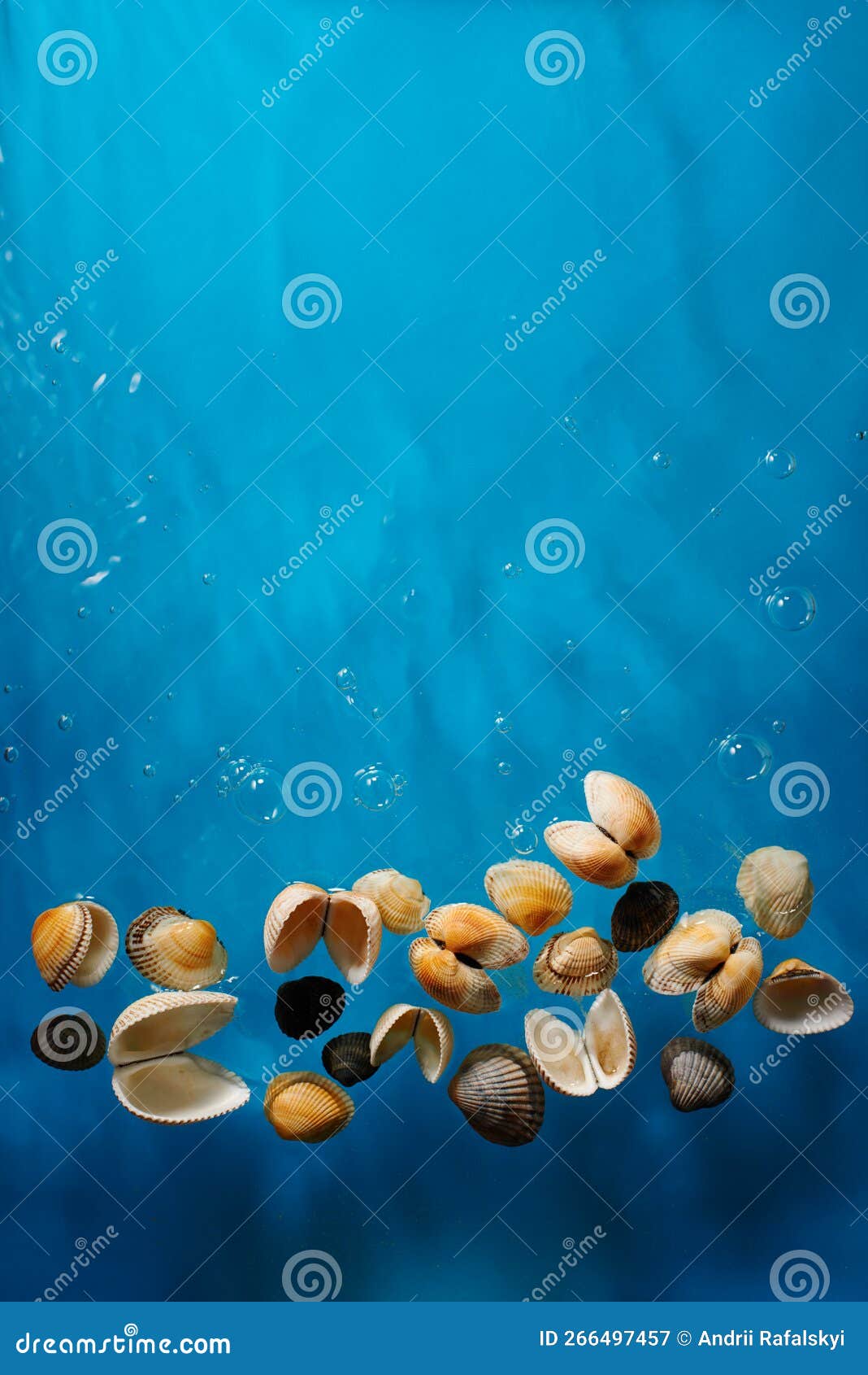 Seashells in Bright Blue Ocean Water with Waves and Bubbles Stock Image ...