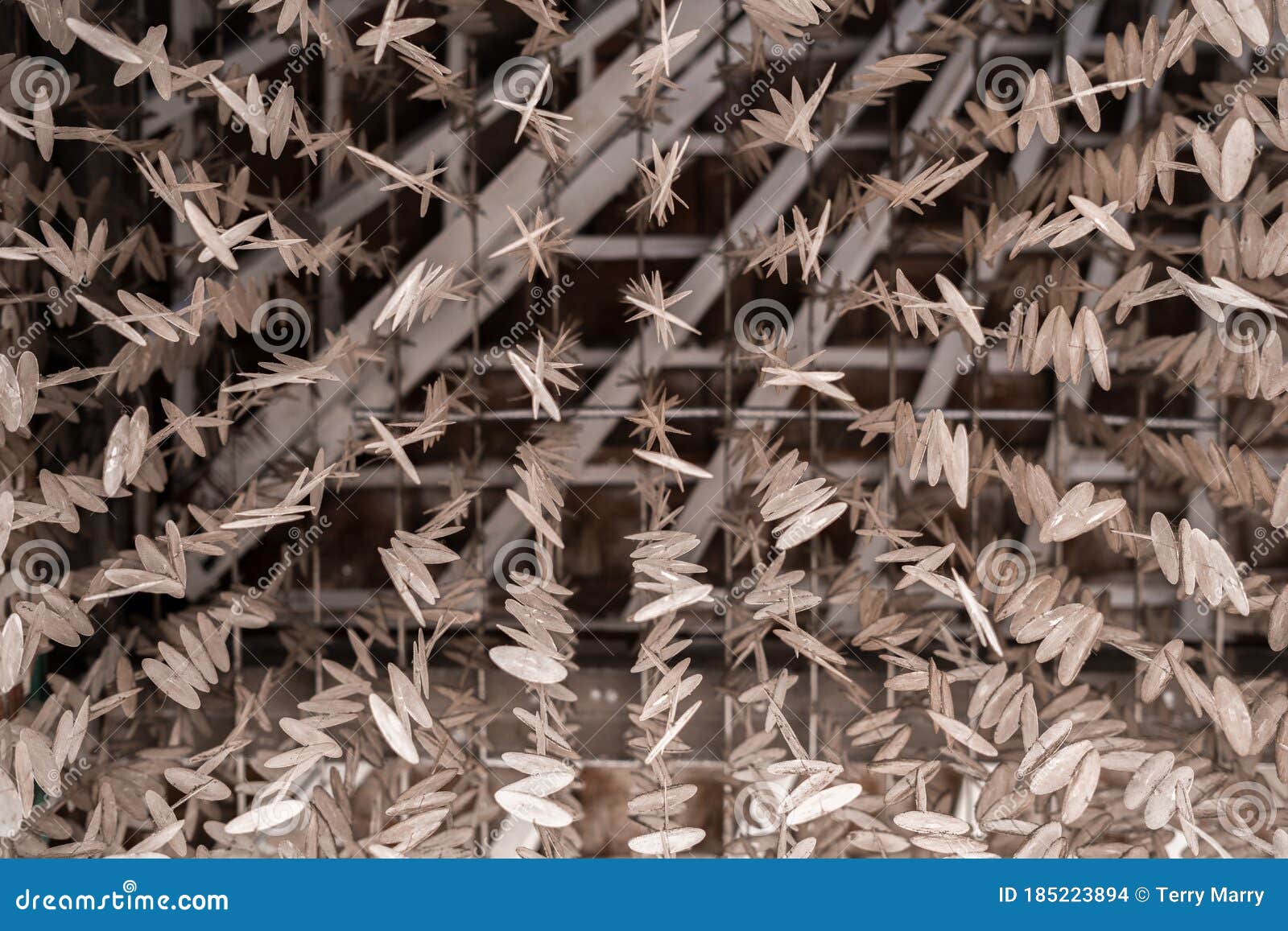 Seashells on the Ceiling Texture Stock Photo - Image of warm, party ...