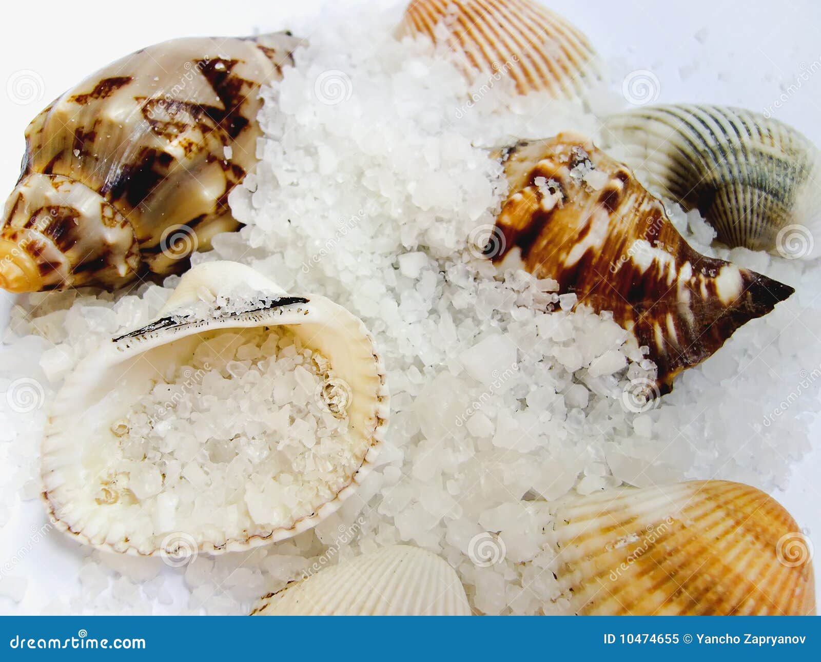 Seashells and Crystals Salt Stock Image - Image of beach, mineral: 10474655