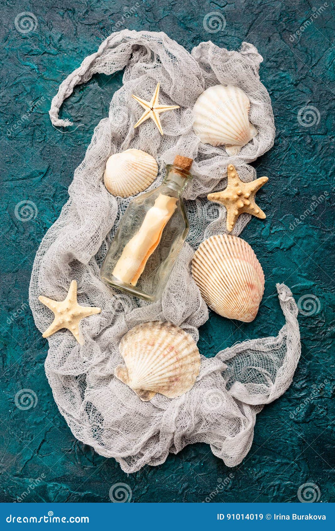 Seashells on Dark Turquoise Background Stock Image - Image of note ...