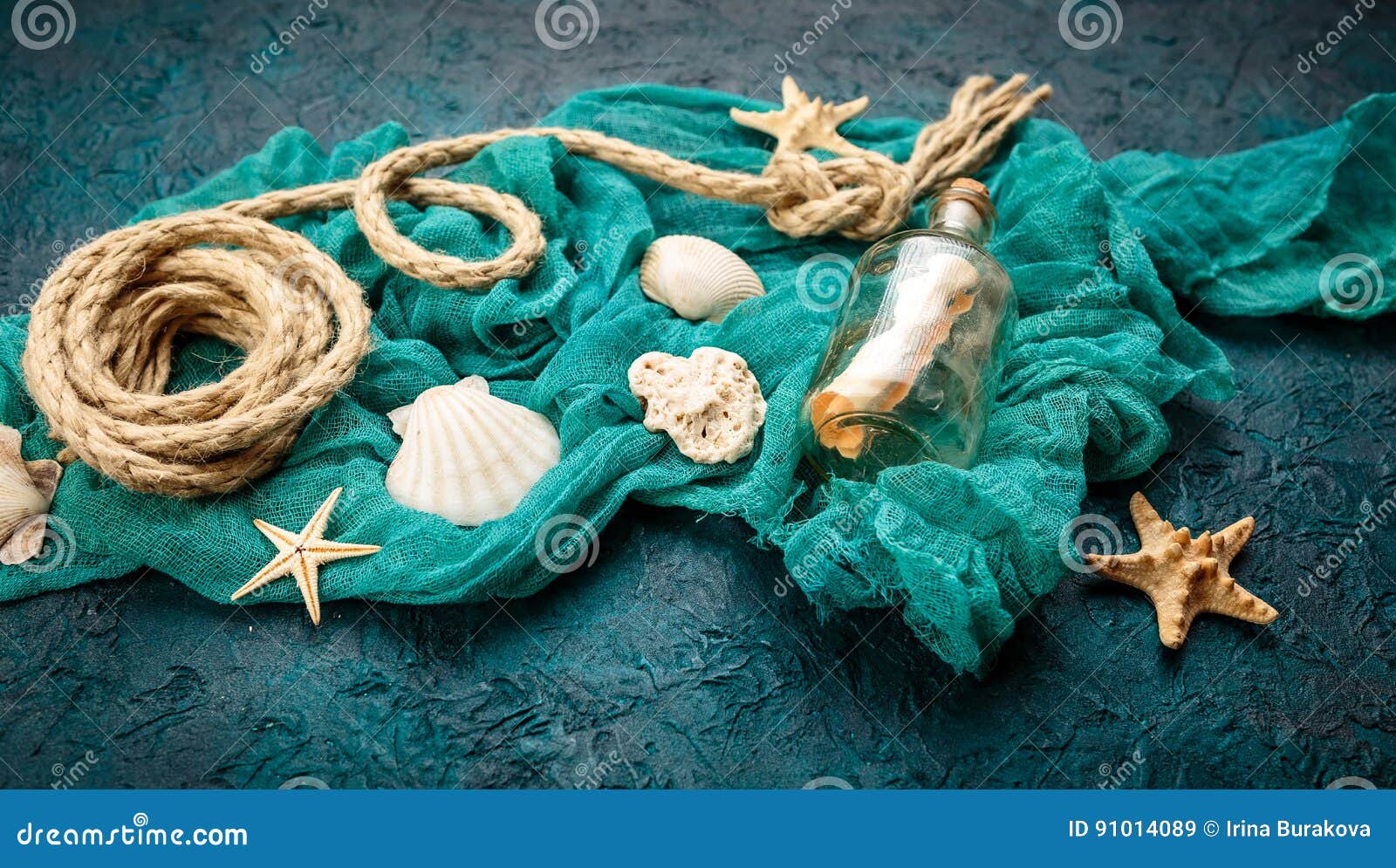 Seashells on Dark Turquoise Background Stock Image - Image of object ...