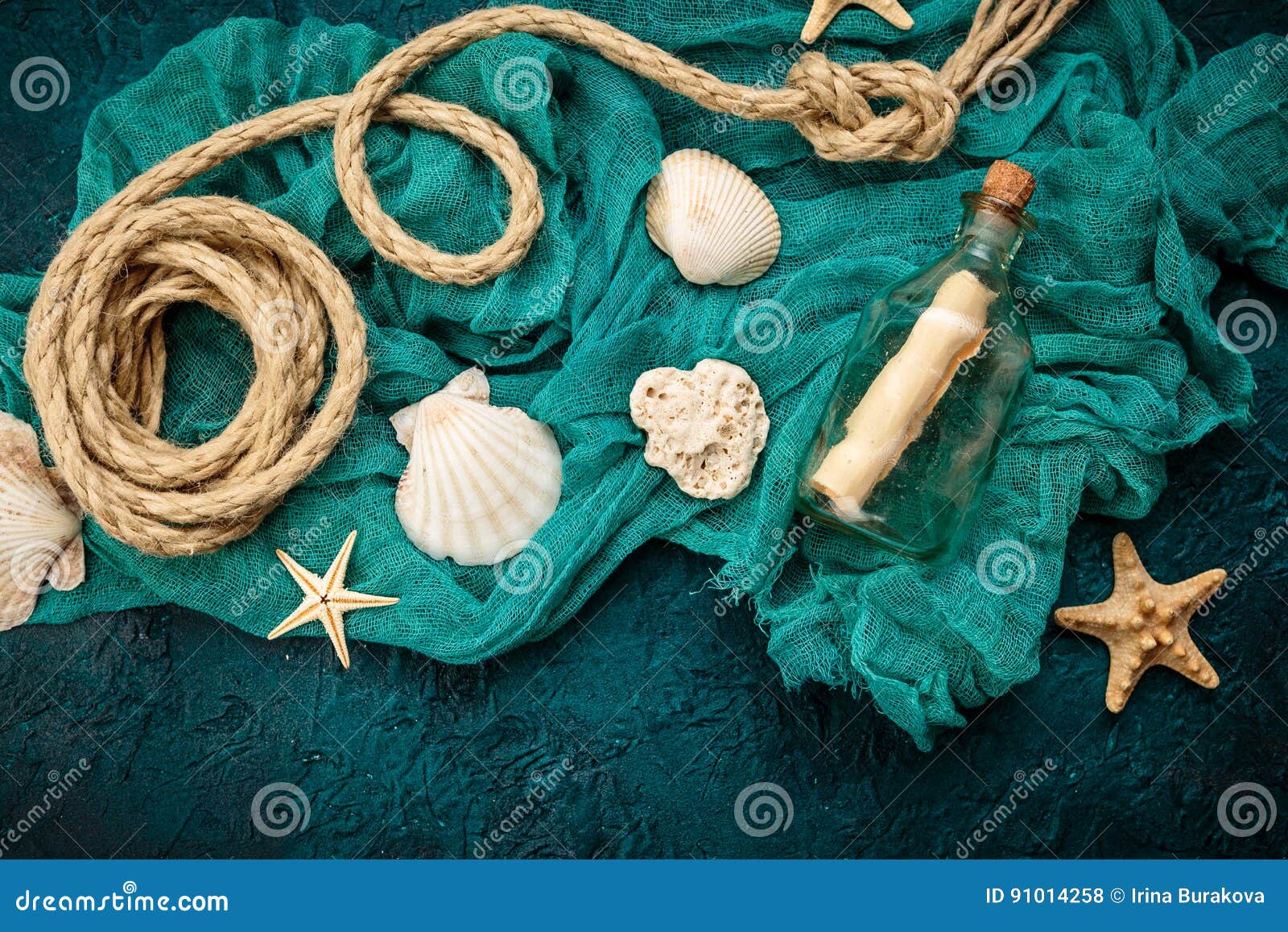 Seashells on Dark Turquoise Background Stock Photo - Image of life ...