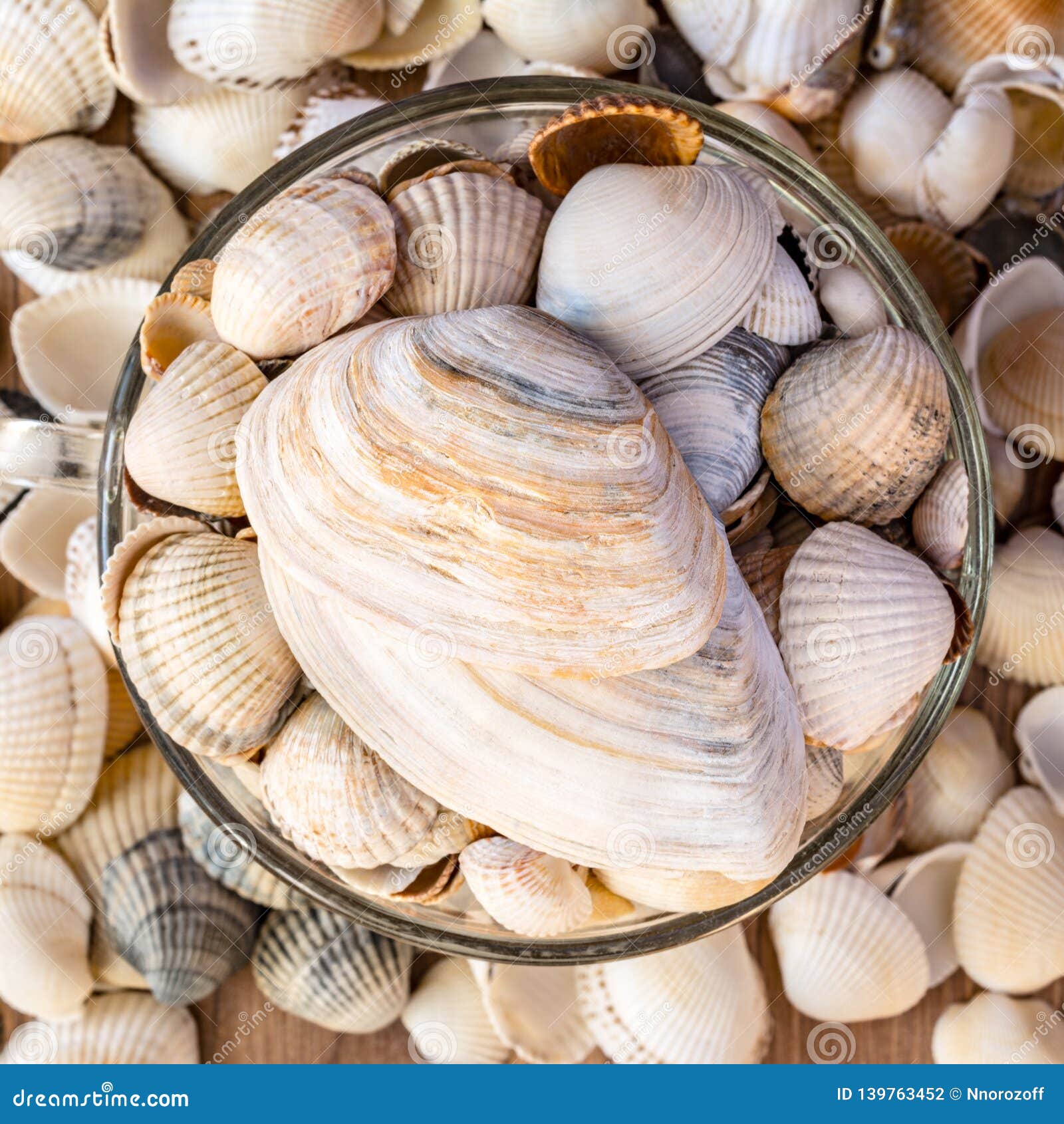 Seashells of Different Colors. Light Seashells in a Transparent Cup ...