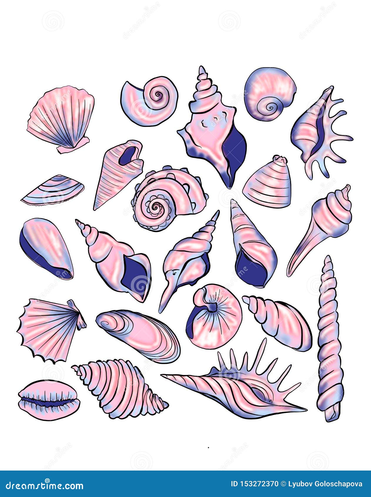 Seashells of Different Shapes on a White Background. Seashell ...