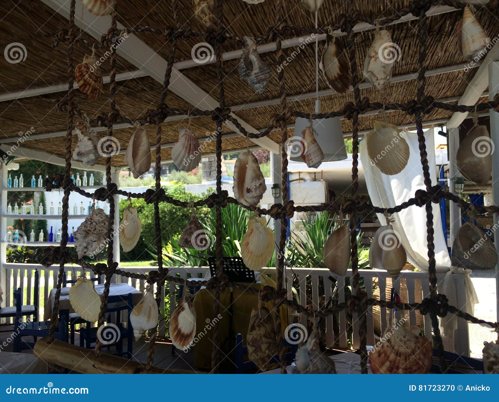 Seashells on the Fishing Network Stock Photo - Image of stars, tool ...