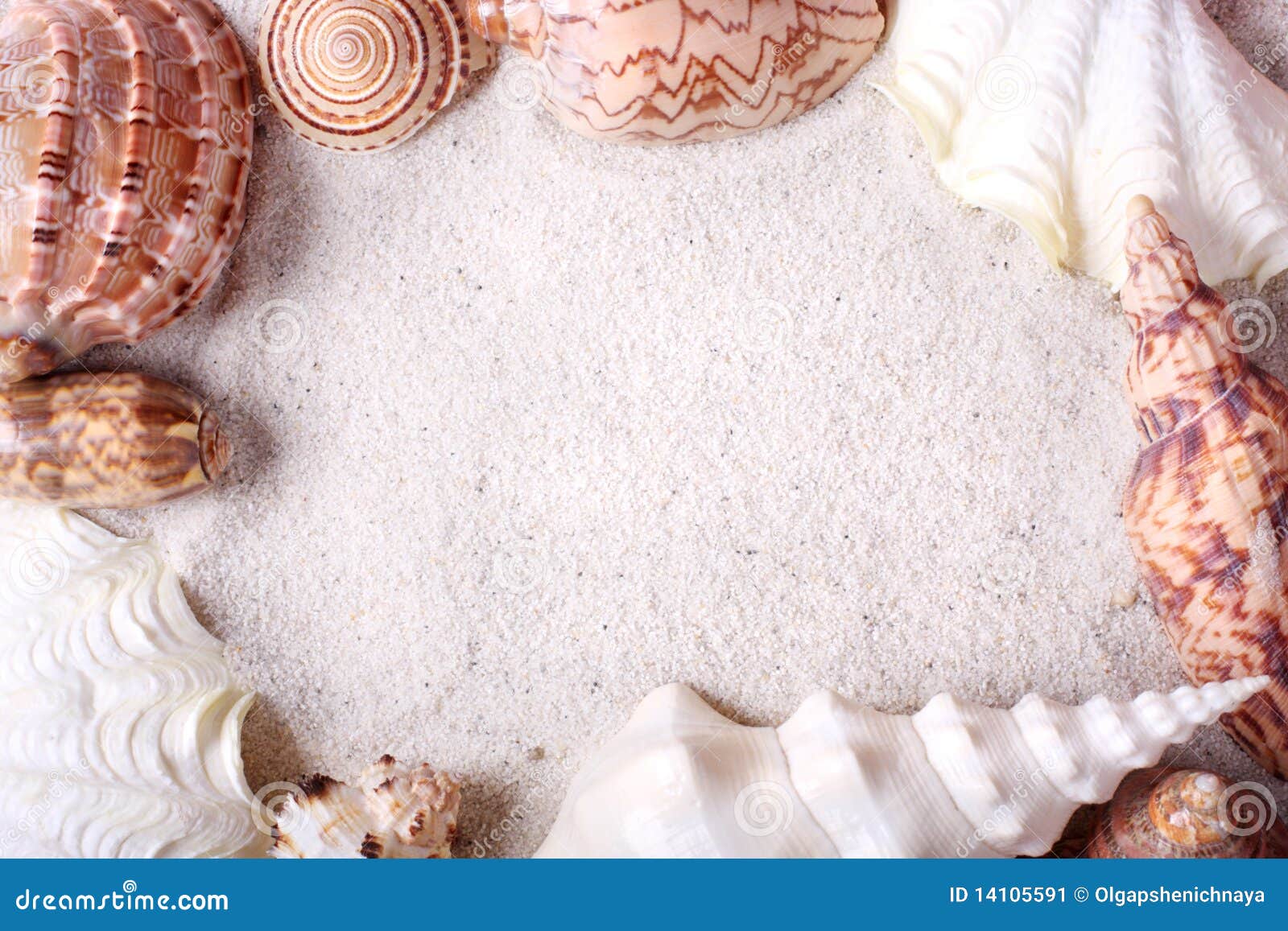 Seashells frame stock image. Image of holiday, coastline - 14105591
