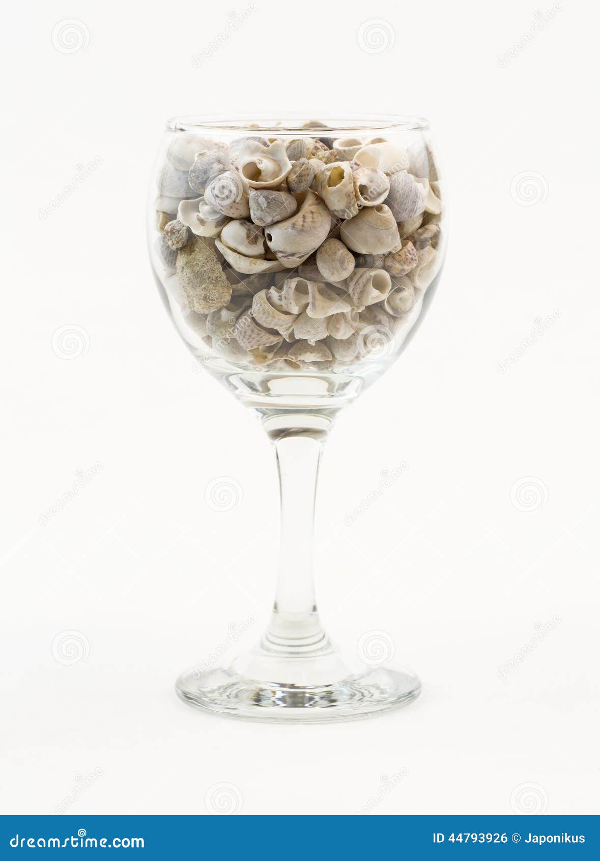 Seashells in glass stock photo. Image of nautilus, cockleshell - 44793926