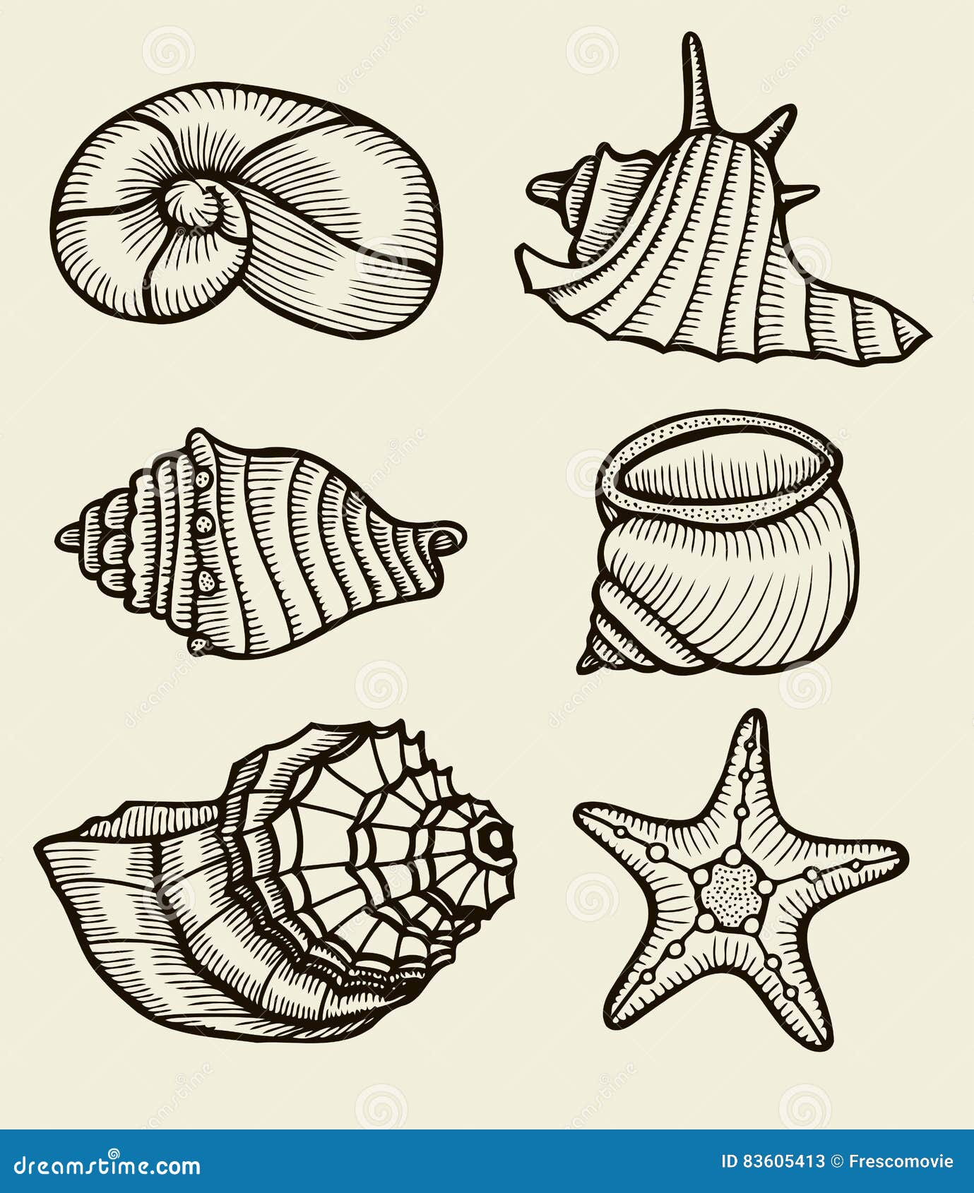 Seashells hand drawn set. stock vector. Illustration of ocean - 83605413