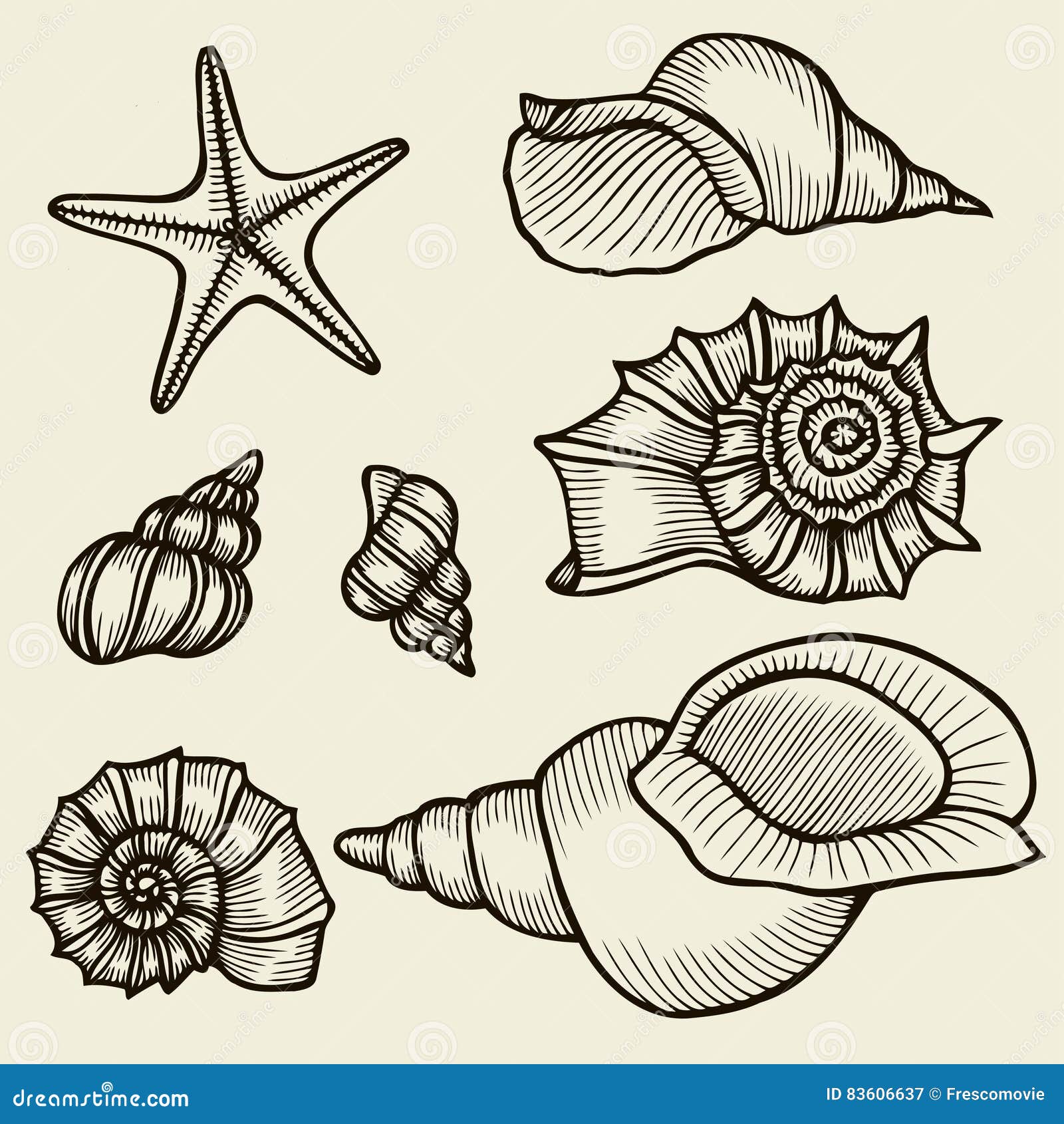 Seashells hand drawn set. stock vector. Illustration of seashell - 83606637