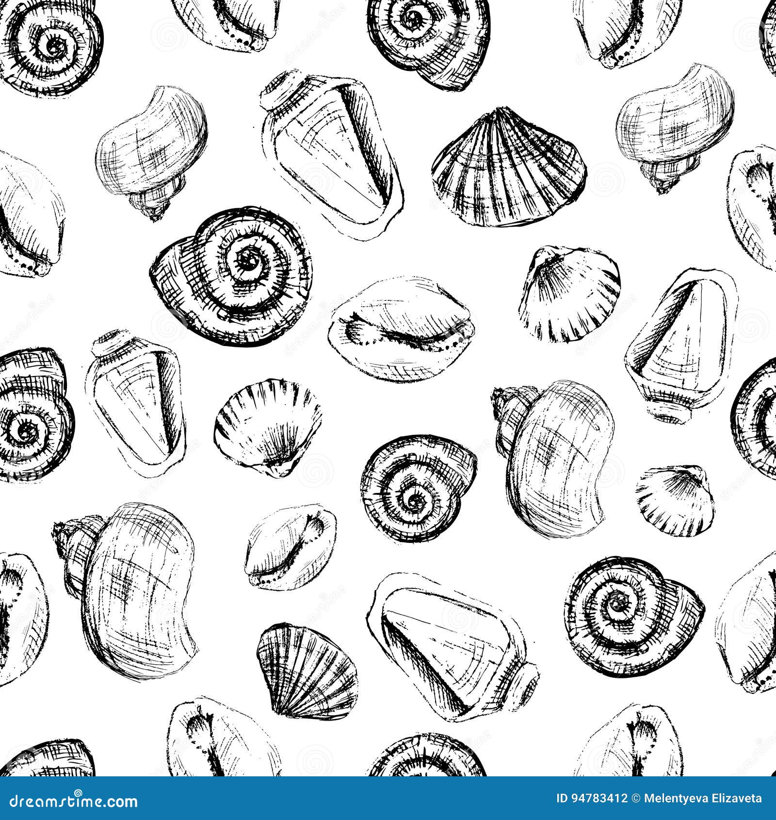Seashells Hand Drawn Vector Graphic Etching Ink Sketch Isolated on ...