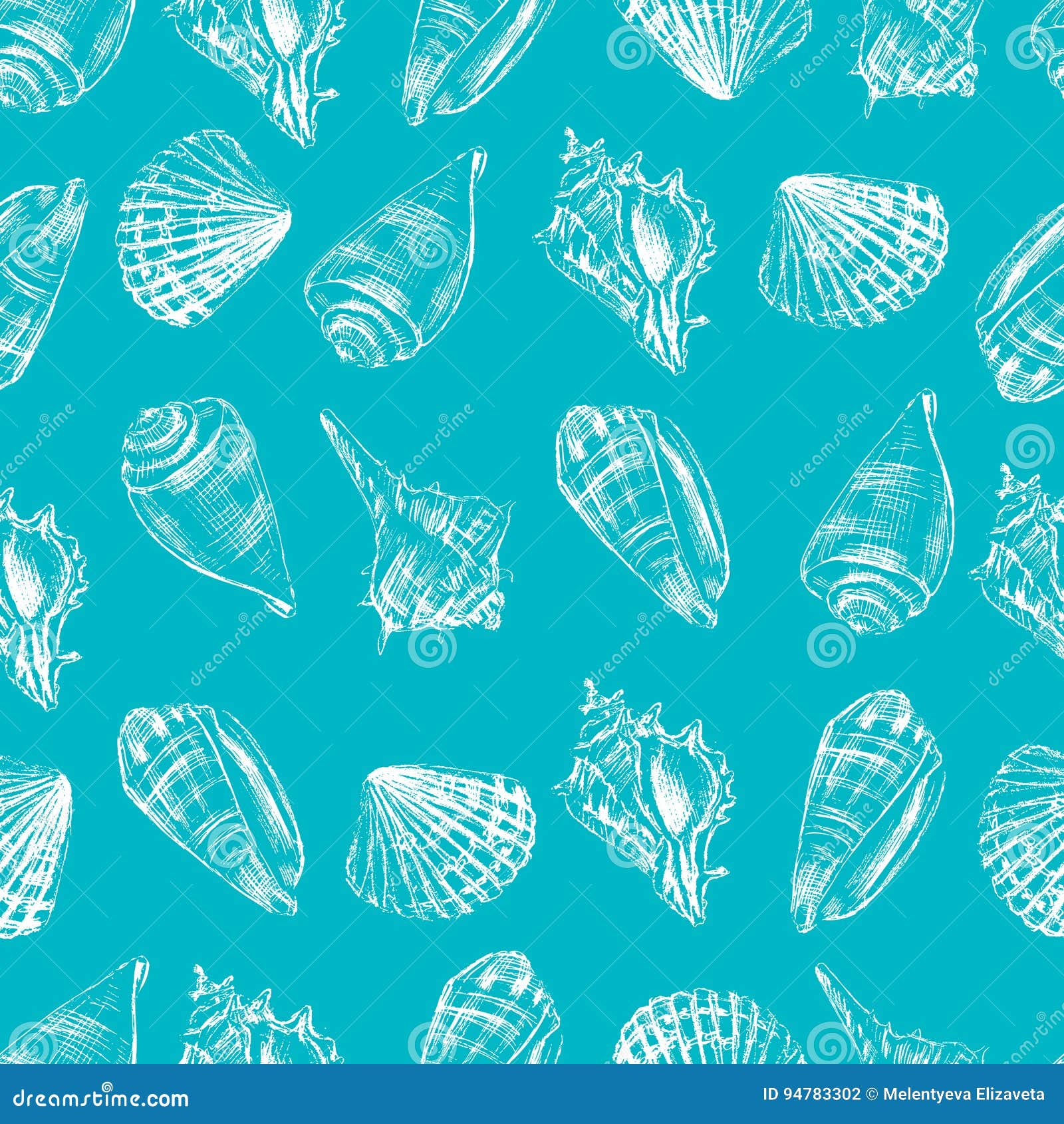 Seashells Hand Drawn Vector Graphic Etching Sketch Isolated on White ...