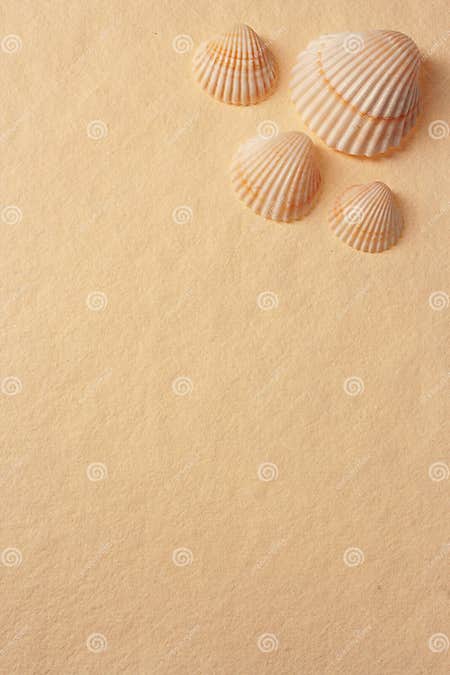 Seashells on a Handmade Paper Stock Photo - Image of oceanside, nature ...