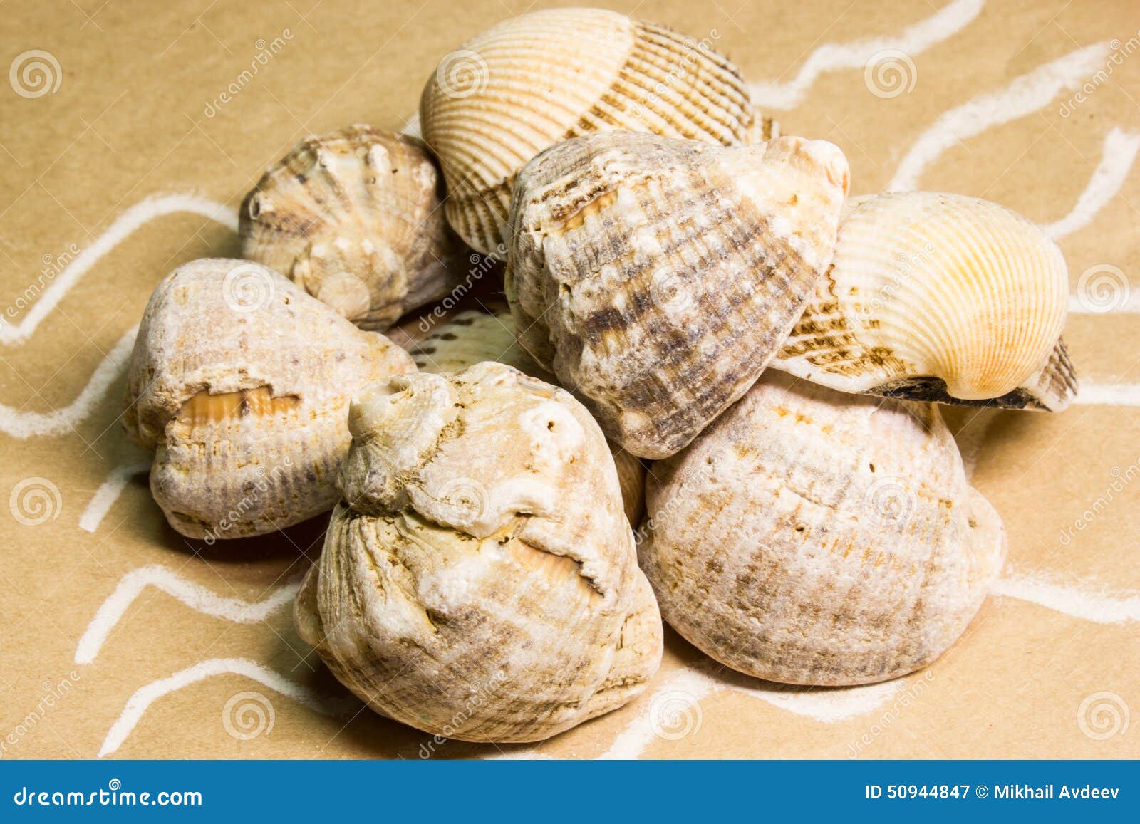 Seashells on a Handmade Paper Stock Image - Image of summerpaper ...