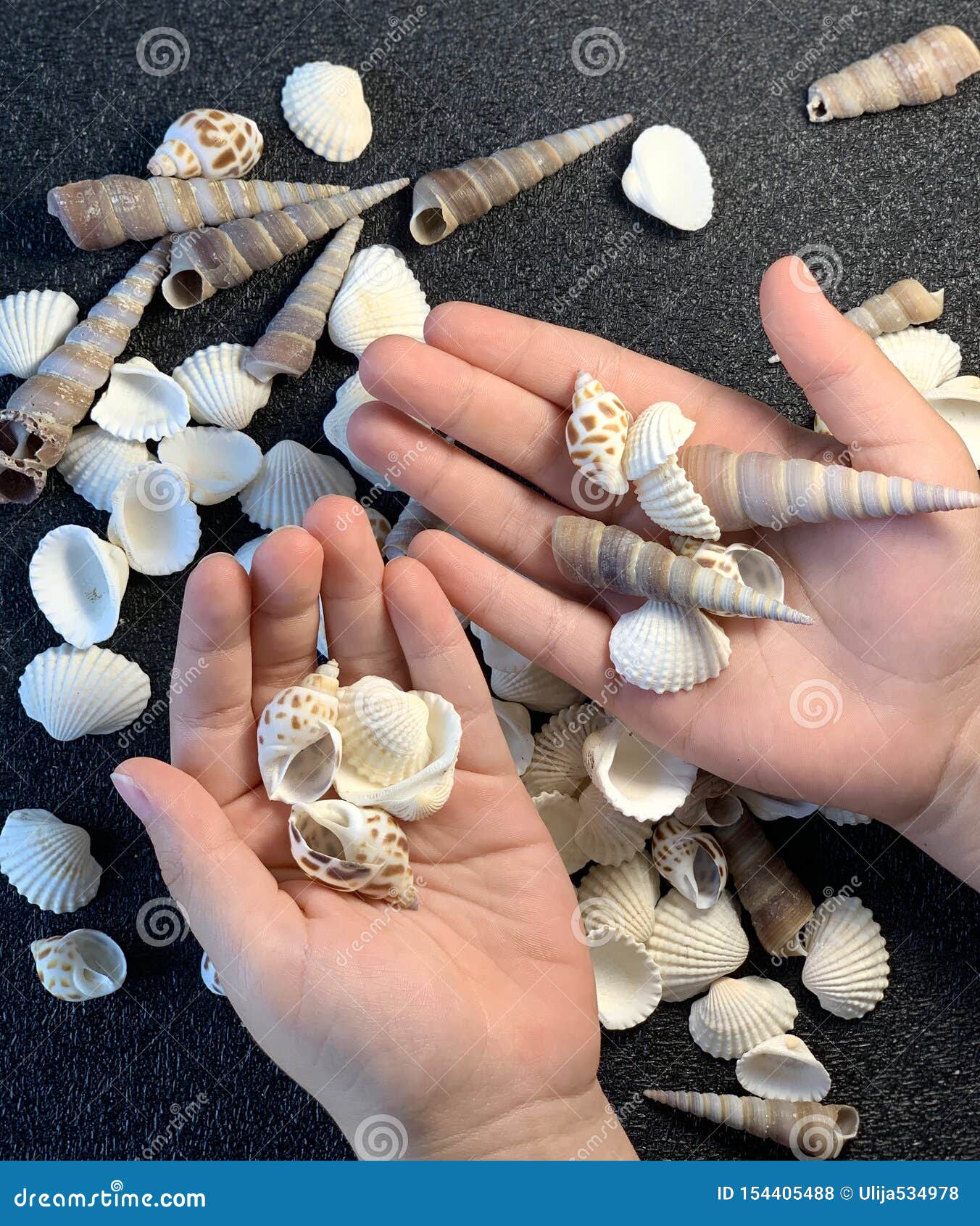 Seashells in hands stock photo. Image of young, rest - 154405488