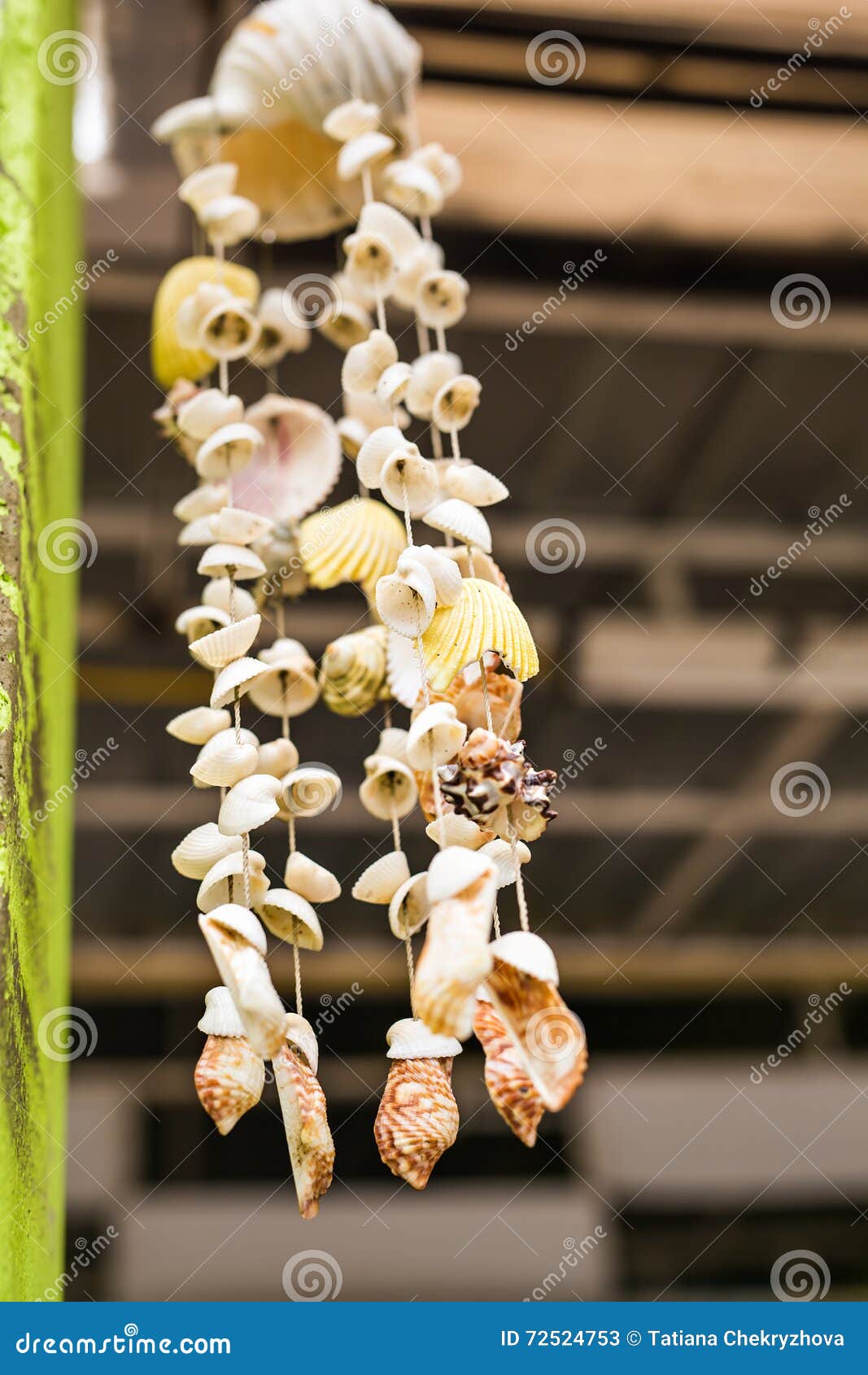 Seashells Hanging Decoration Stock Image - Image of decor, collection ...