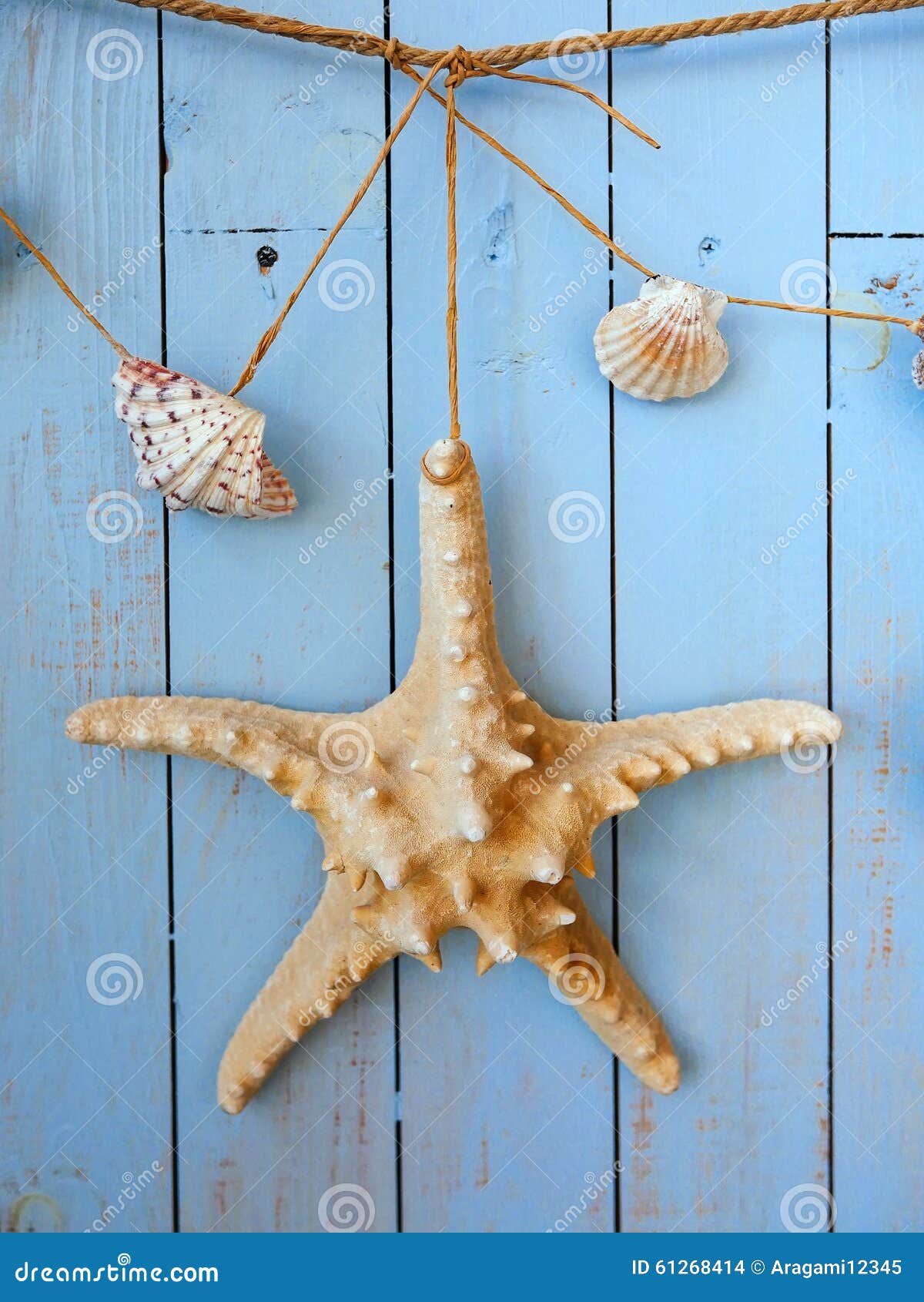 Seashells Hanging on the Rope, Vintage Styling Stock Photo - Image of ...