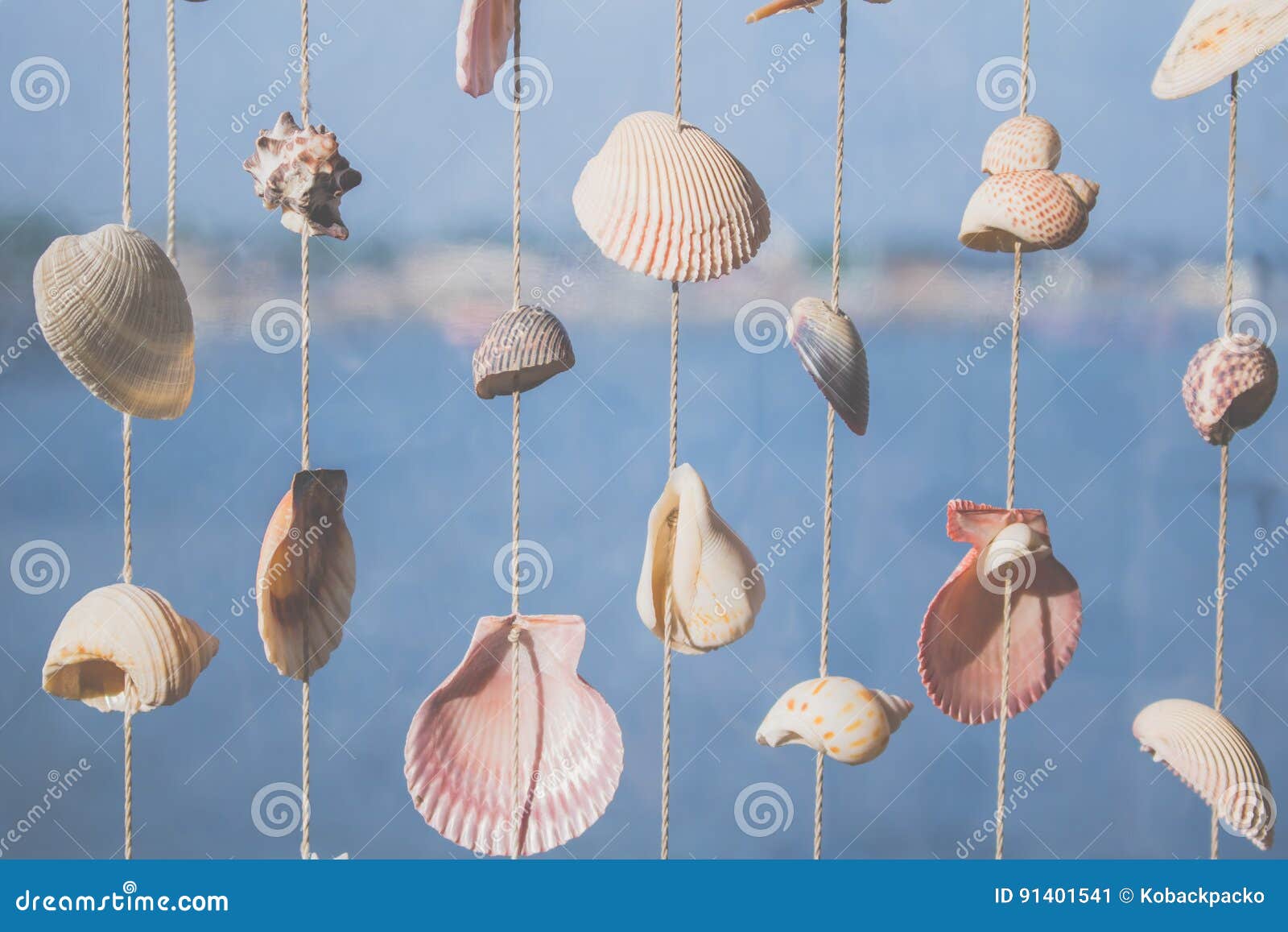 Seashells Hanging on Strings for Decoration. Stock Image - Image of ...