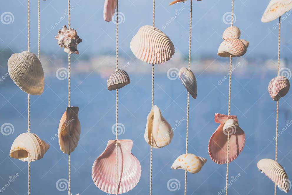 Seashells Hanging on Strings for Decoration. Stock Image - Image of ...