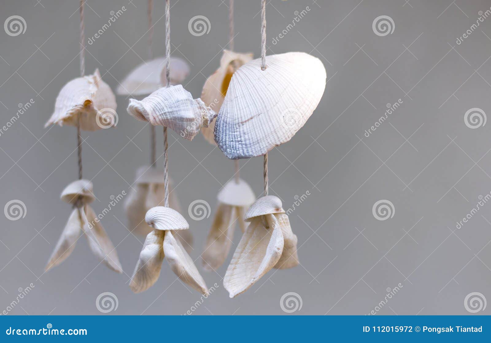 Seashells Hanging on White Background. Seashell Mobile is Handicrafts ...
