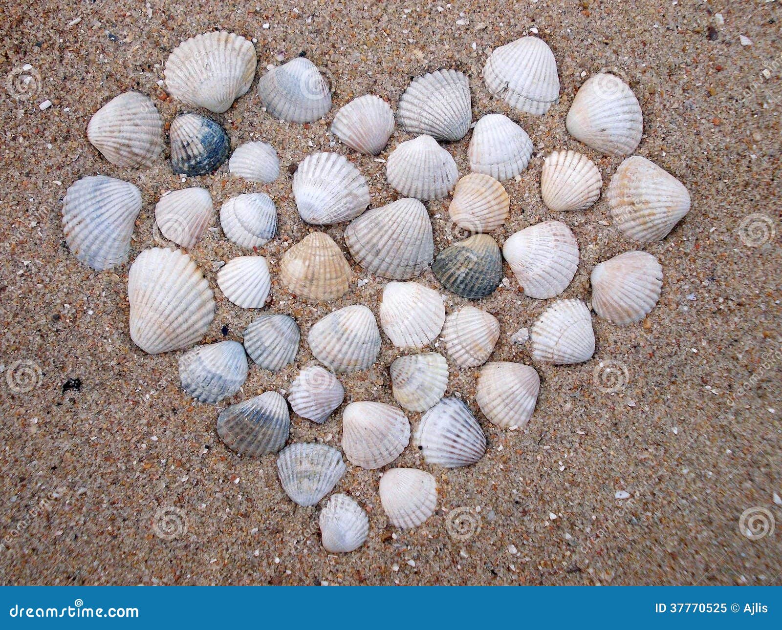 Seashells heart stock image. Image of adoration, celebration - 37770525