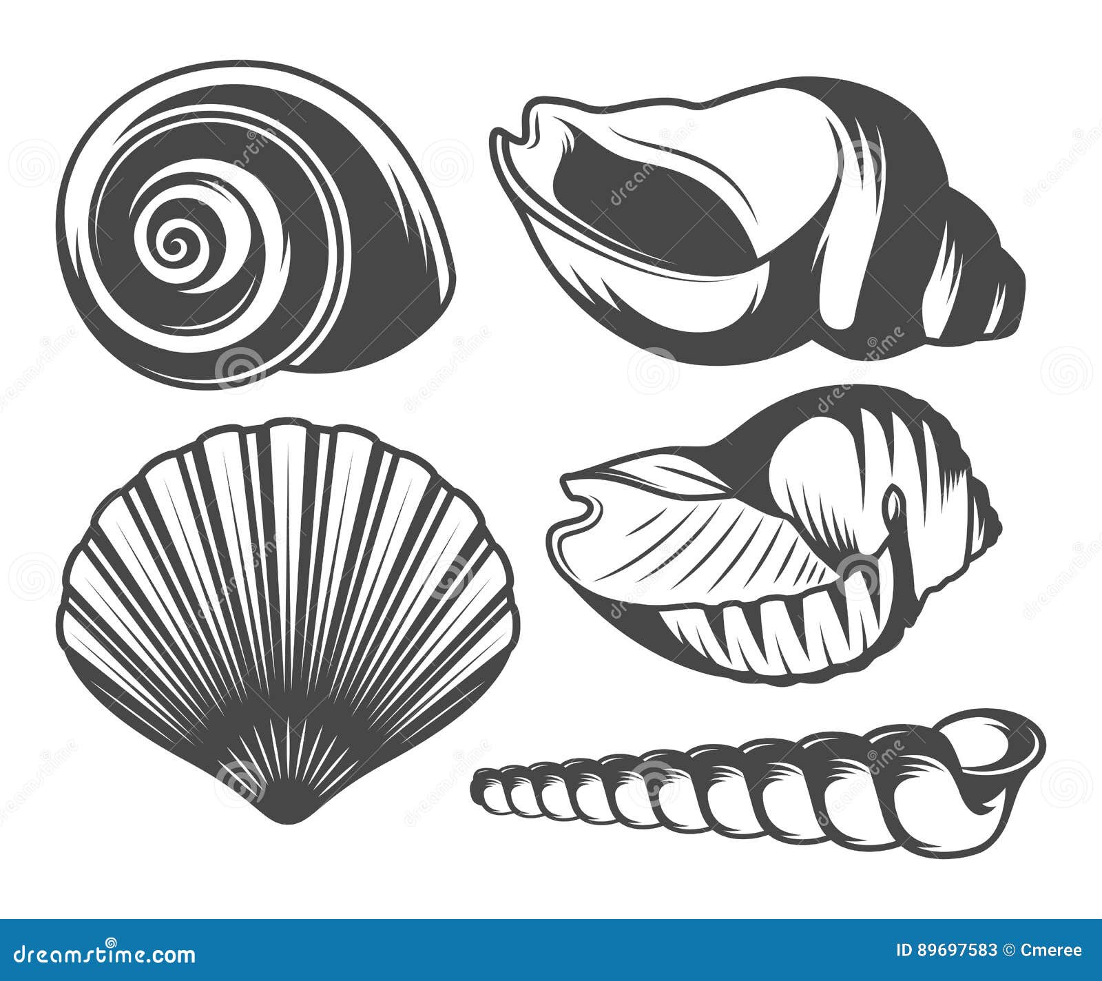 Seashells icons set stock vector. Illustration of illustrations - 89697583