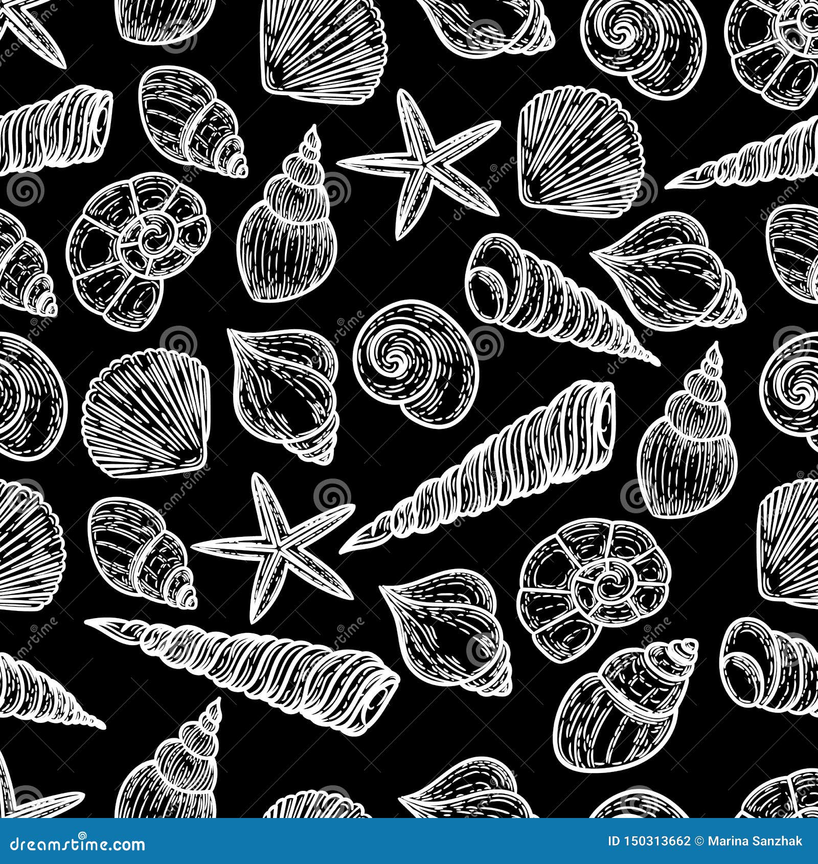 Seashells Illustration Black and White Seamless Pattern Stock Vector ...