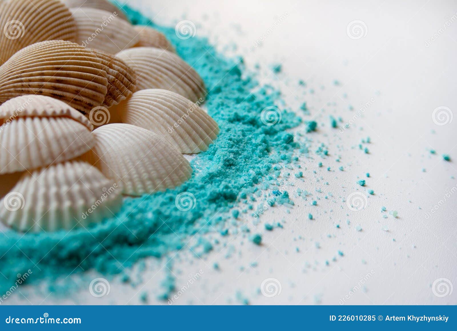 Seashells Inside Turquoise Powder Circle Stock Image - Image of ring ...