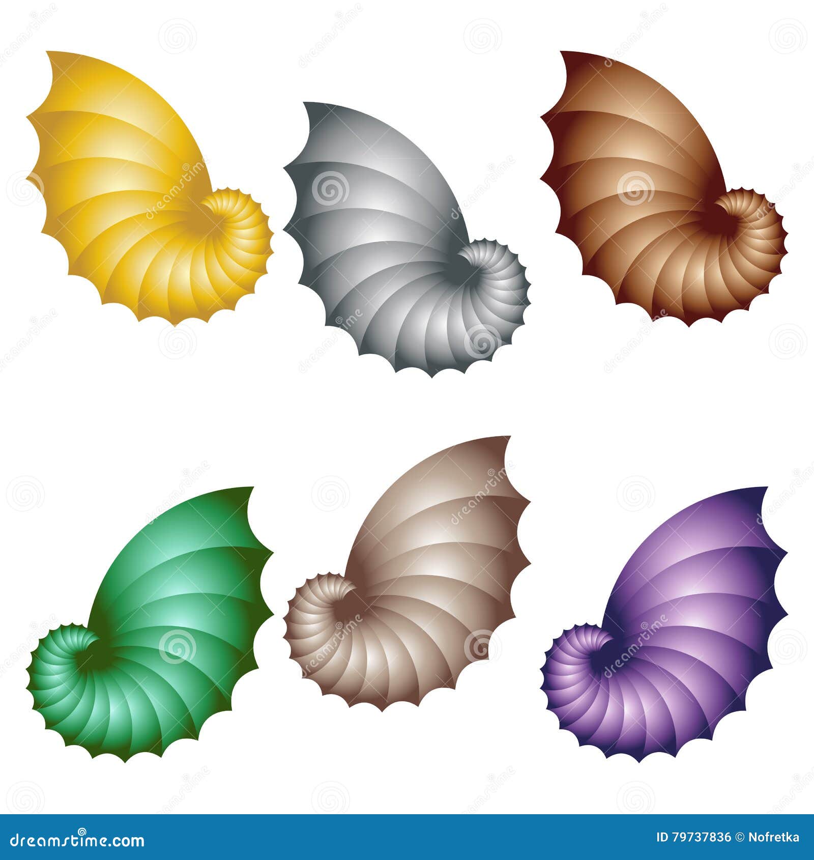 Seashells Isolated on White. Set of Colorful Shells Stock Vector ...