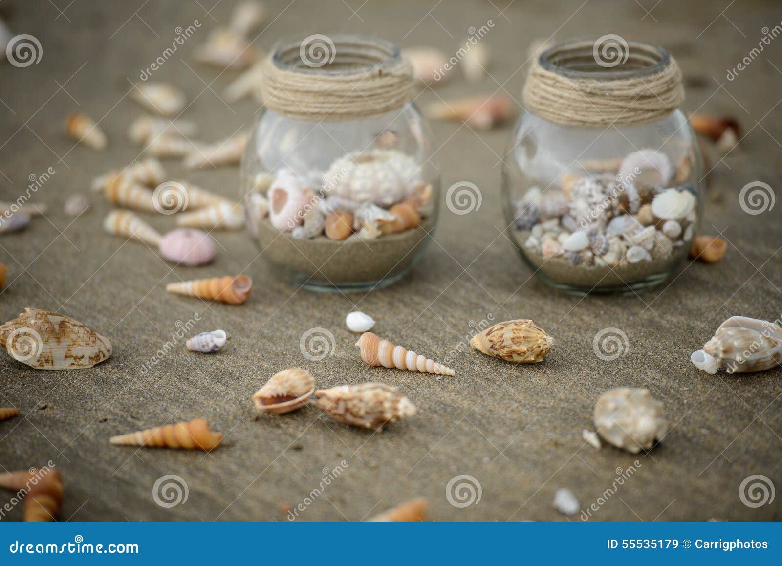 Seashells in Jars stock image. Image of seashells, sand - 55535179