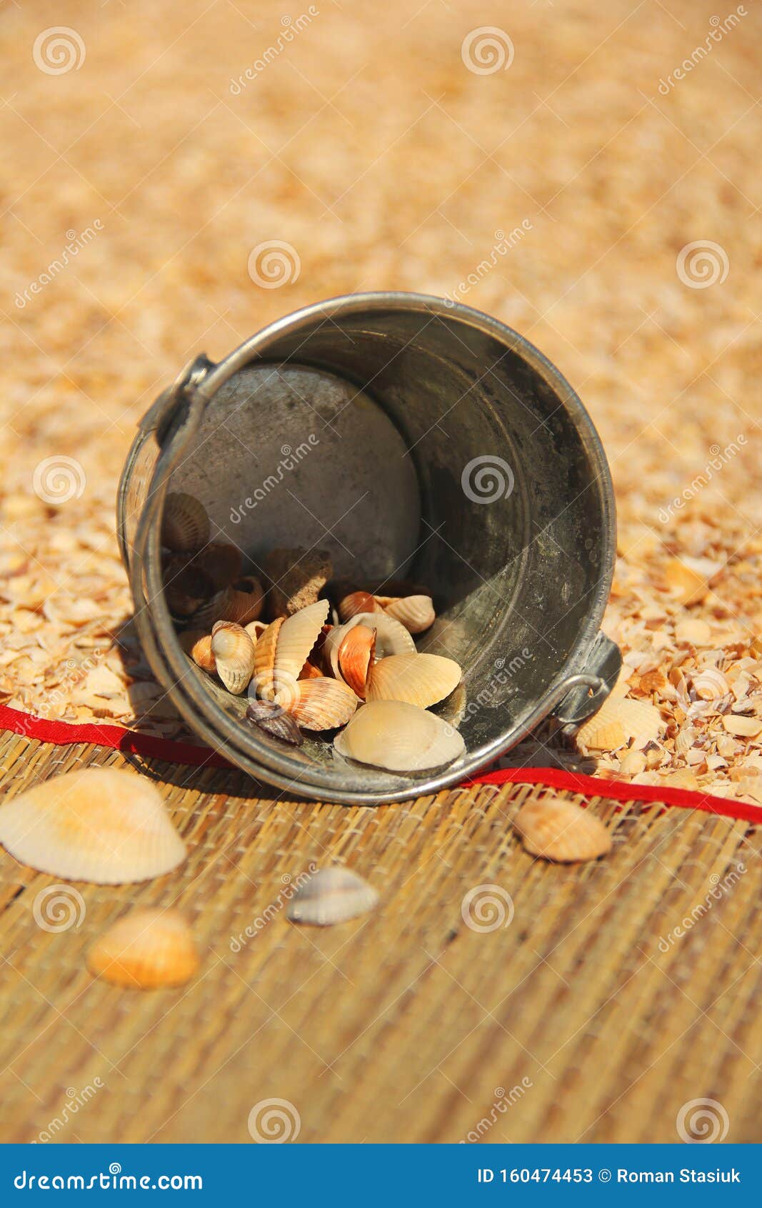 Seashells in a Metal Bucket Close Up Stock Image - Image of seashell ...