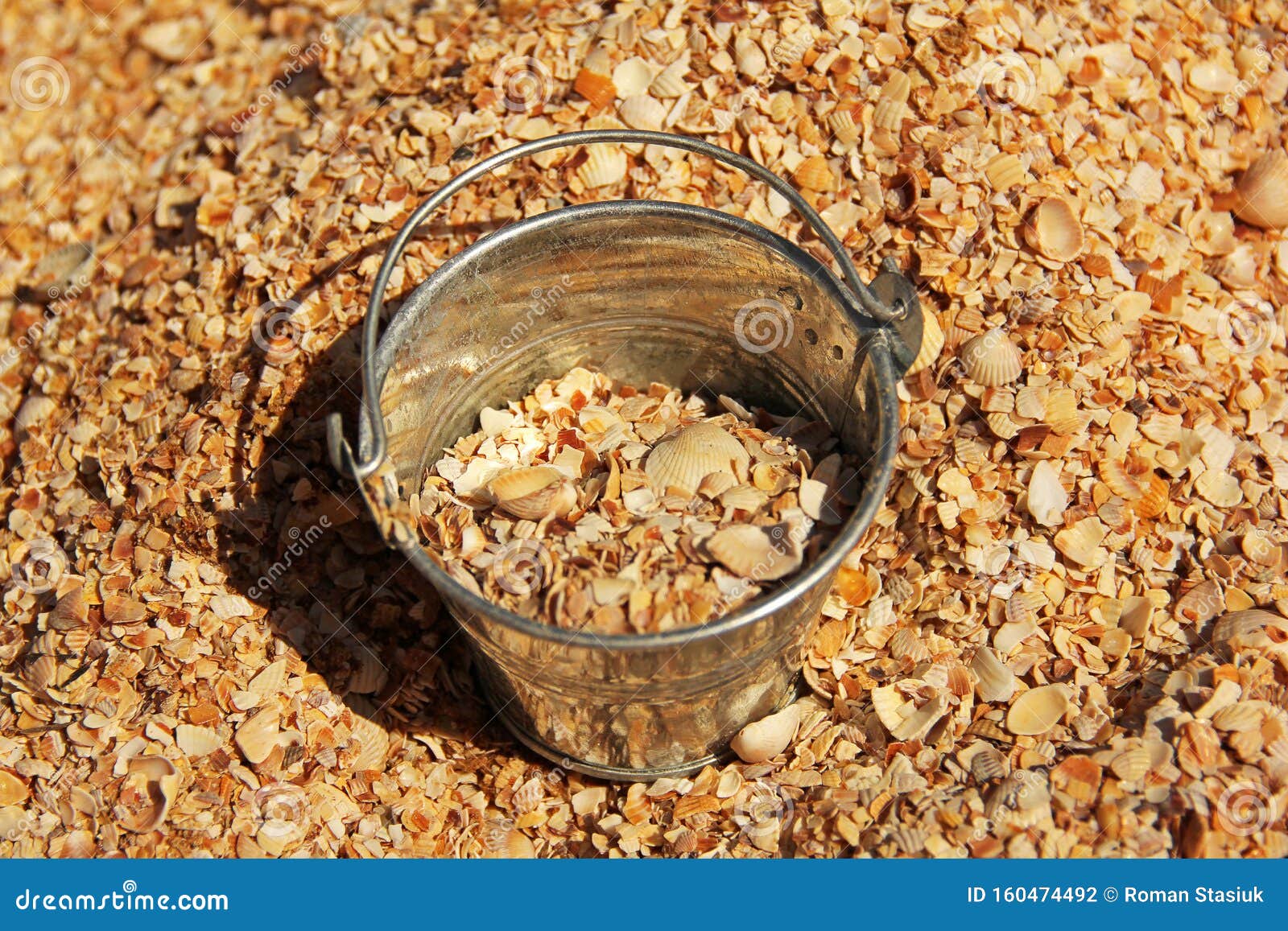 Seashells in a Metal Bucket Close Up Stock Photo - Image of slippers ...