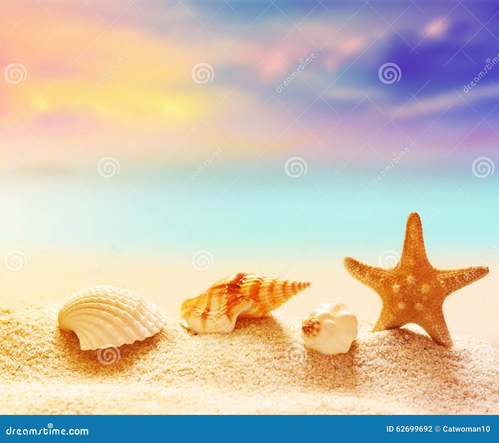 Seashells with Ocean, Beach and Seascape Stock Photo - Image of perfect ...
