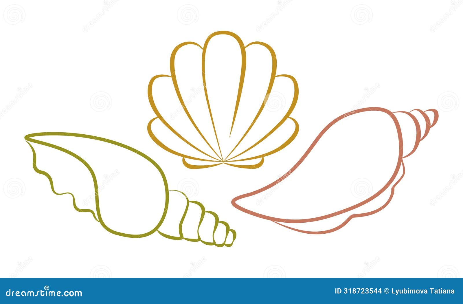 Seashells Outline Vector Illustration in Sketch Style, Decorative ...