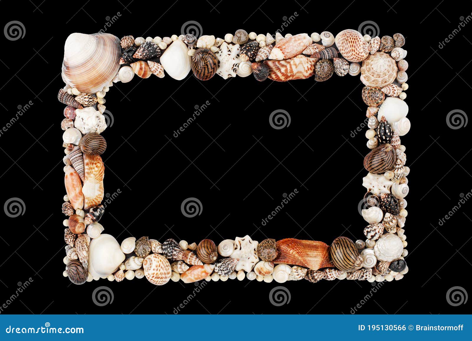 Seashells Pattern Empty Frame on Black Background Isolated Close Up ...