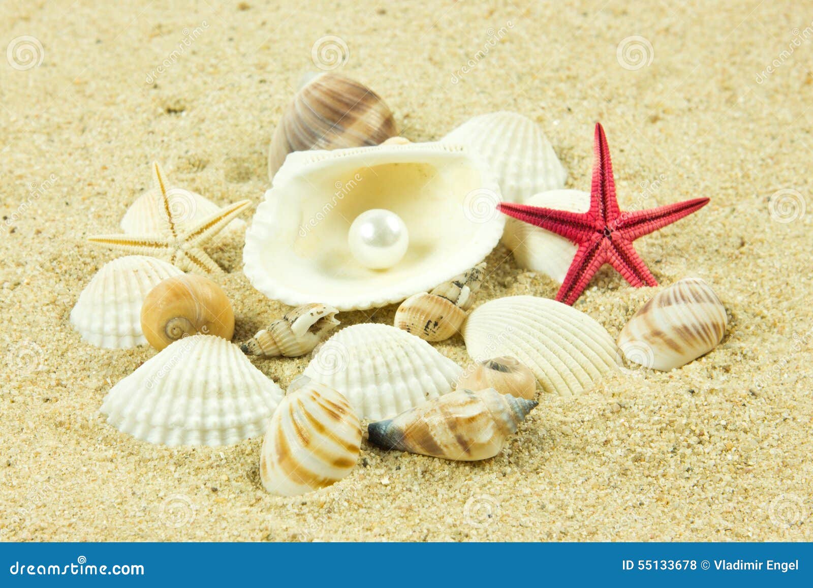 Seashells,pearl, Starfish on Sand Holiday Sea Stock Photo - Image of ...