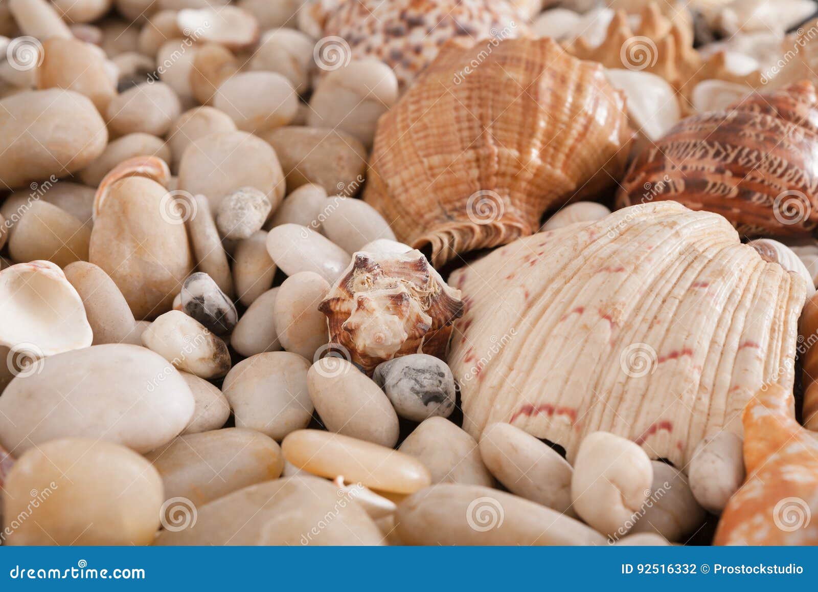 Seashells and Pebbles Background, Natural Seashore Stones Stock Photo ...