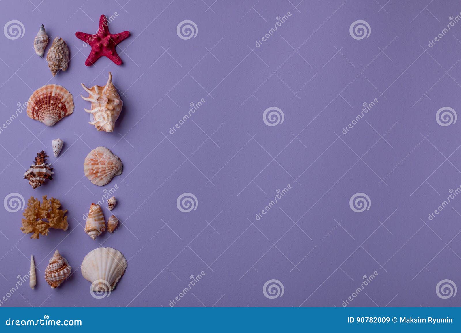 Seashells on purple stock image. Image of creative, oceanic - 90782009