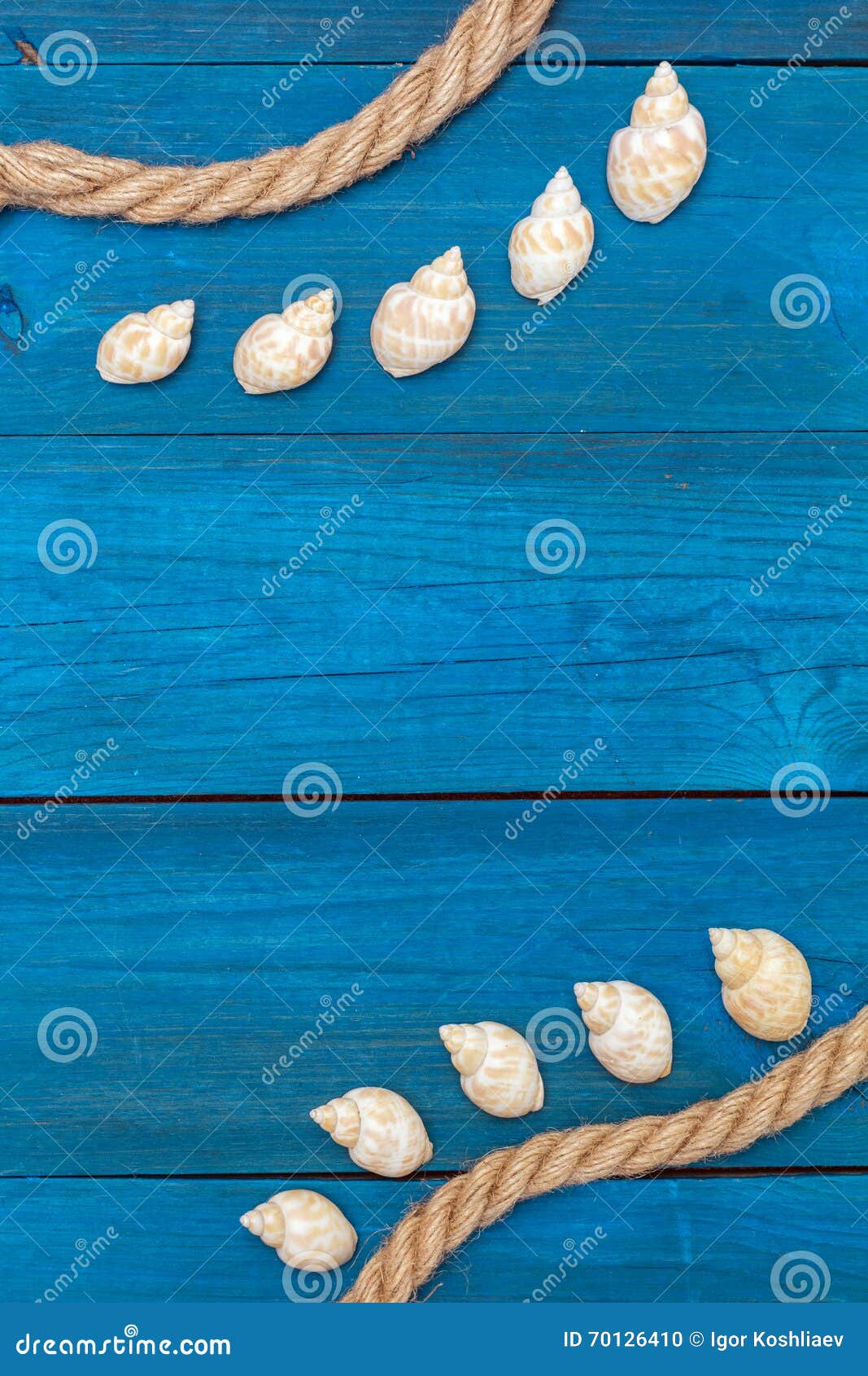 Seashells and Rope on Blue Boards, Copyspace Stock Photo - Image of ...