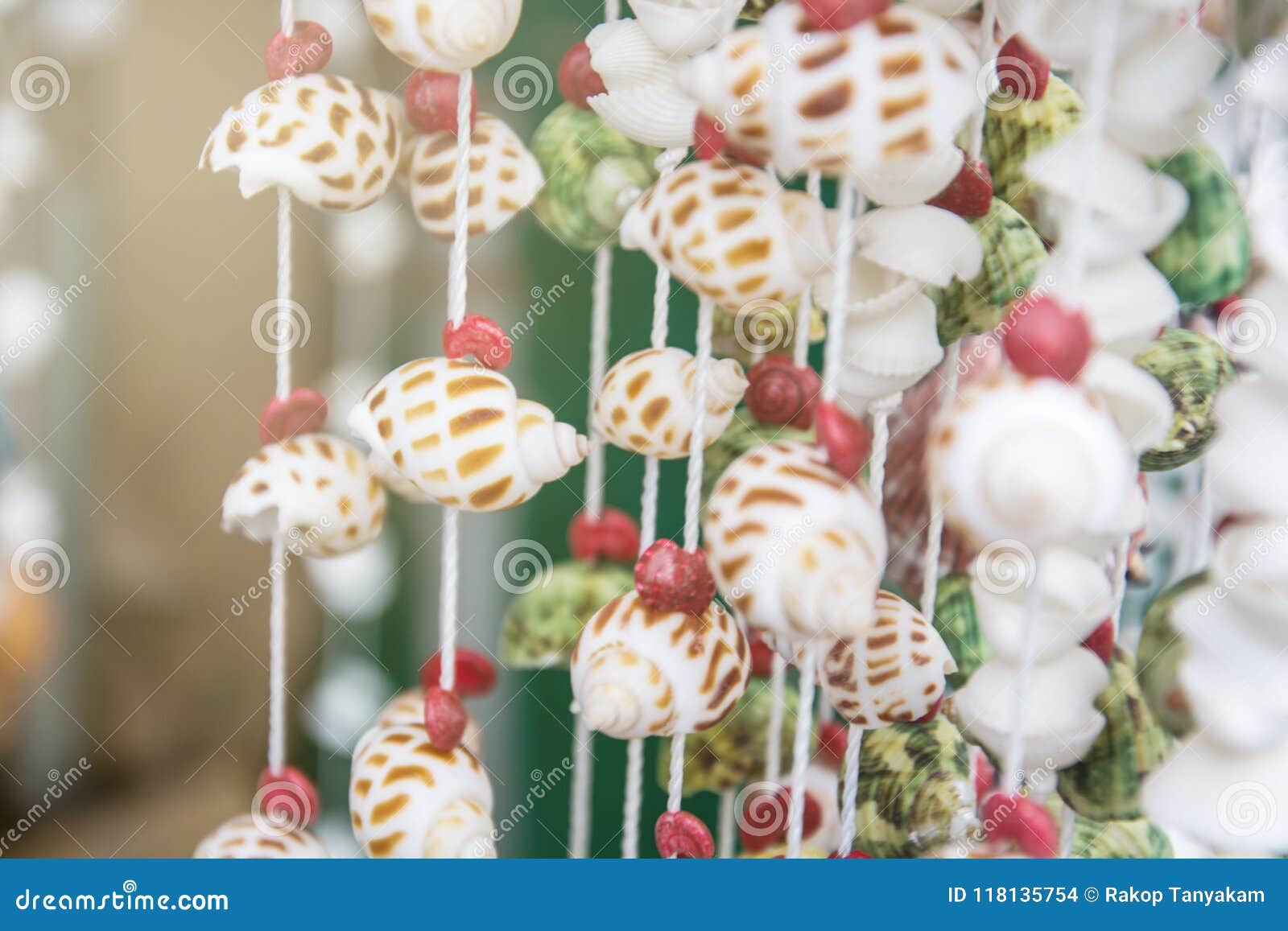 Seashells on Rope Thread for Background Stock Photo - Image of ...