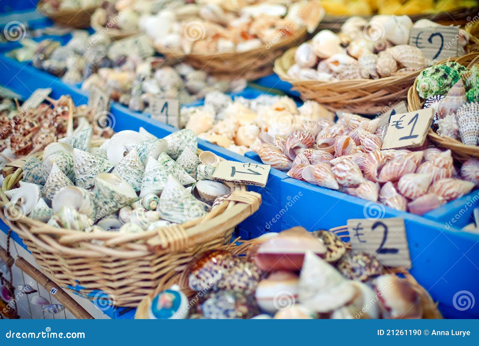Seashells for Sale stock photo. Image of souvenirs, basket - 21261190