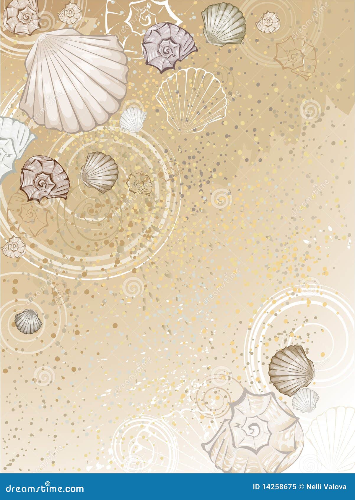 Stylized Sea Shells Stock Illustrations – 332 Stylized Sea Shells Stock ...