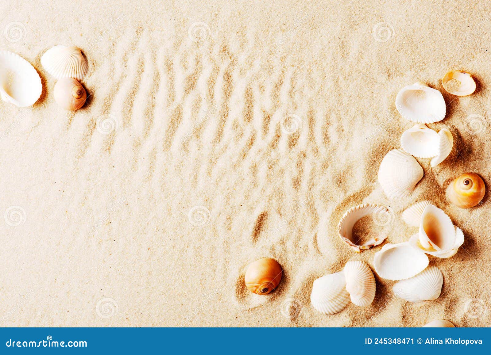 Seashells on the Sand, Beach Background Stock Image - Image of summer ...