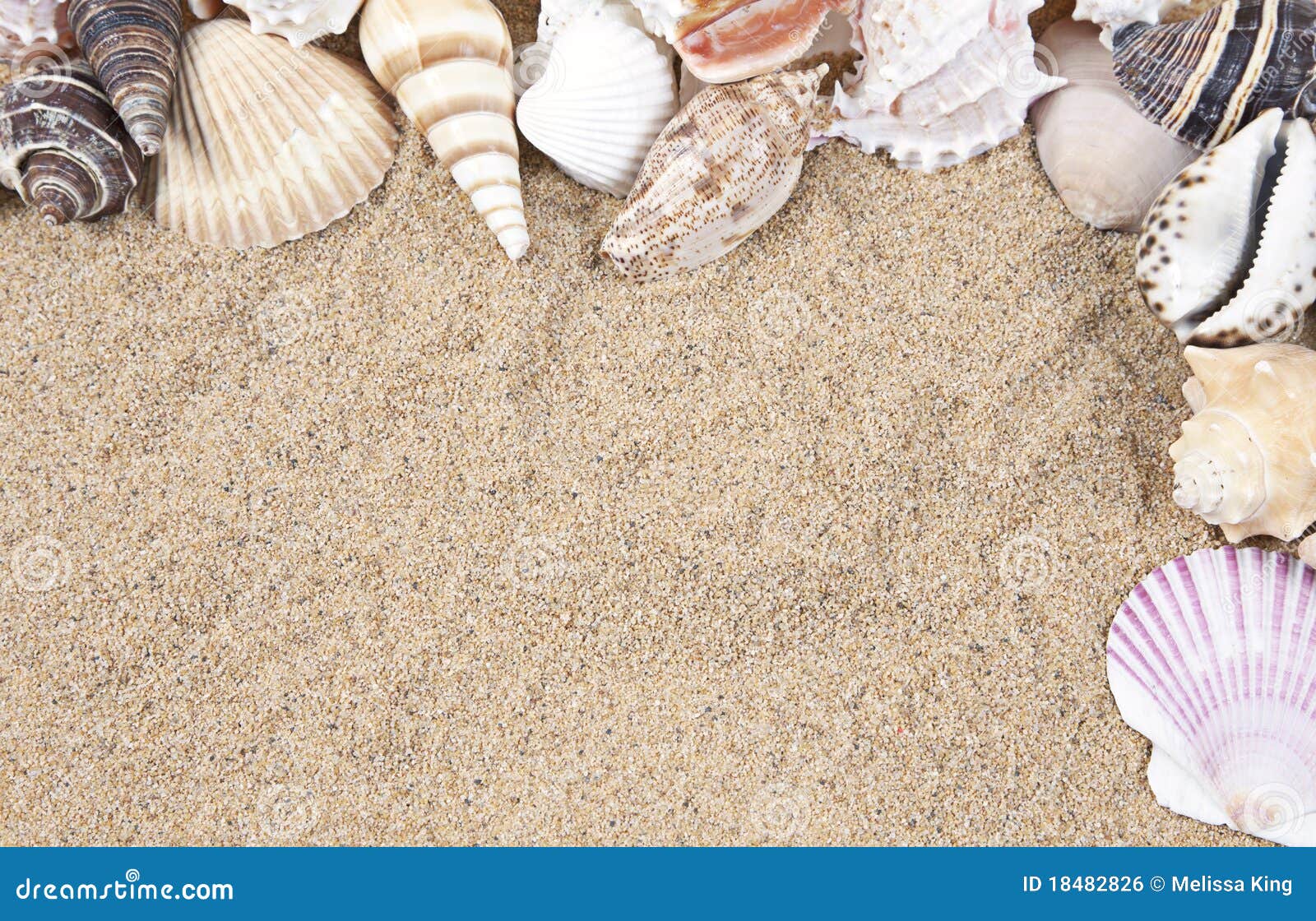 Beach Sand Border
