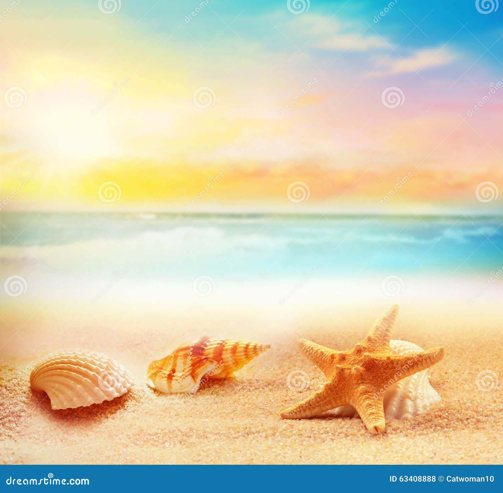 Seashells on Sand Near the Sea Stock Photo - Image of relaxation ...