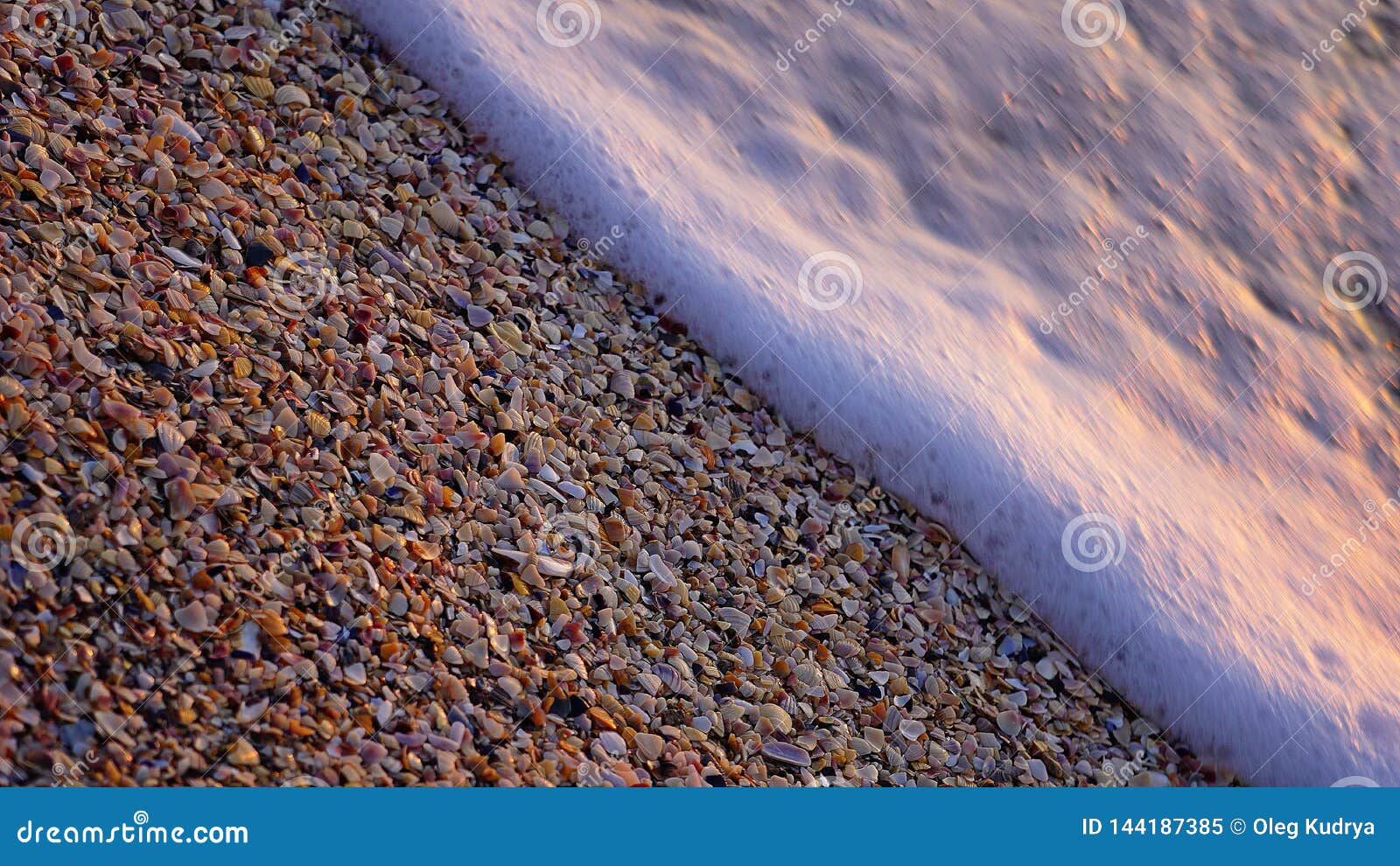 Seashells and Sea Foam stock image. Image of surf, nsea - 144187385