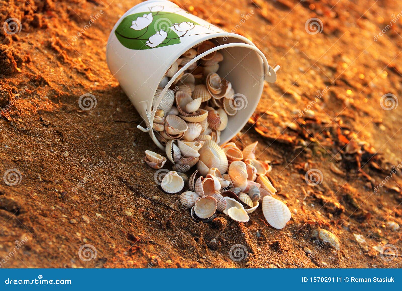 Seashells on the Seashore. Seashells in a Bucket Stock Image - Image of ...